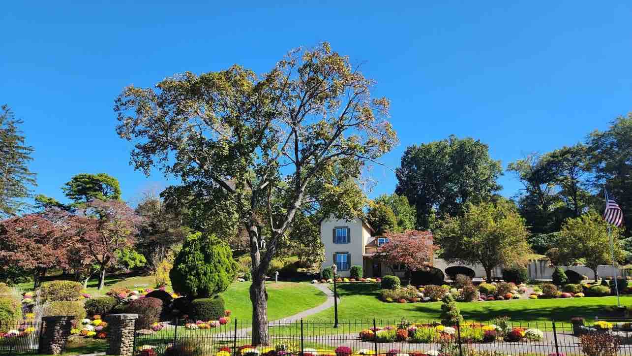 Fundraiser by Amanda Elia : Revitalize Seamon Park
