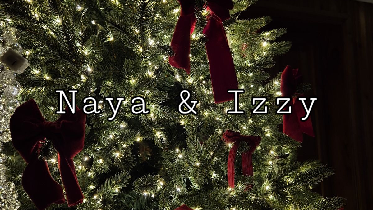 Fundraiser by Dahlia Williams : Naya & Izzy : A 3rd Year TMU Production