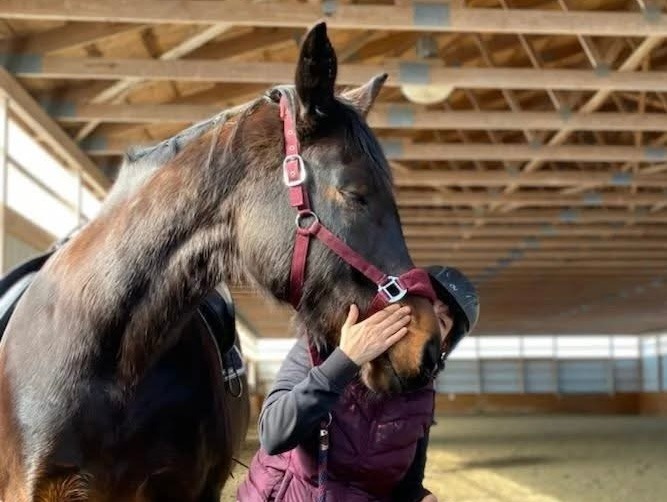 Fundraiser by Melissa Wolgemuth : Care for Regalia: Sarah's Beloved Horse