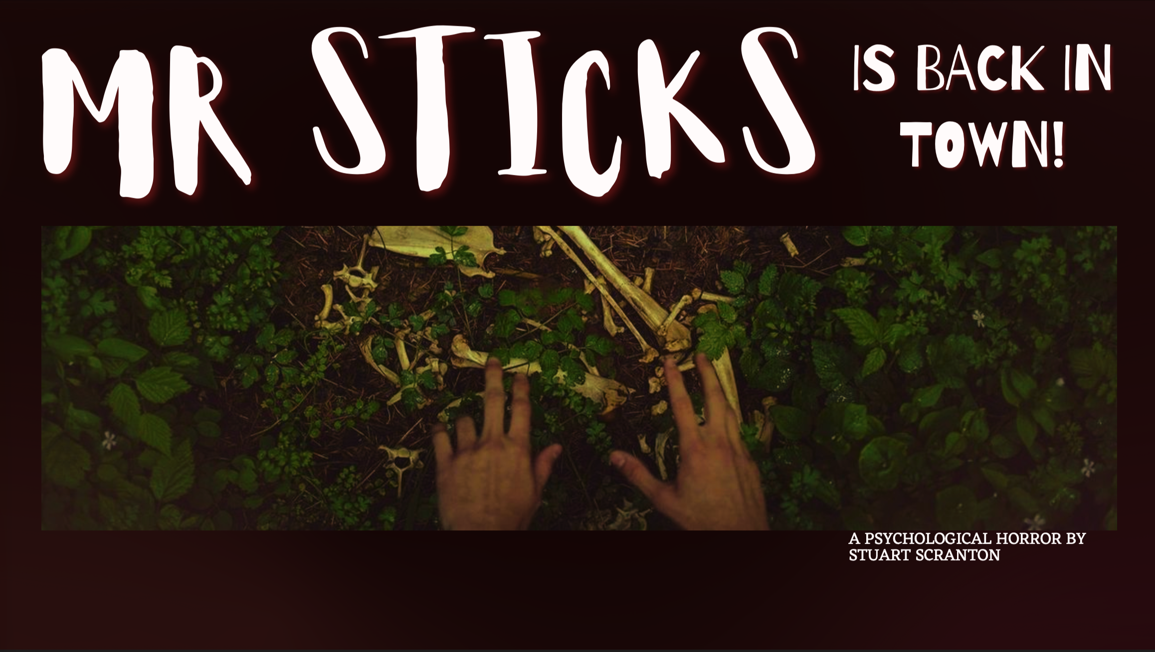 Fundraiser by Stuart Scranton : "Mr. Sticks is back in town" - a horror ...