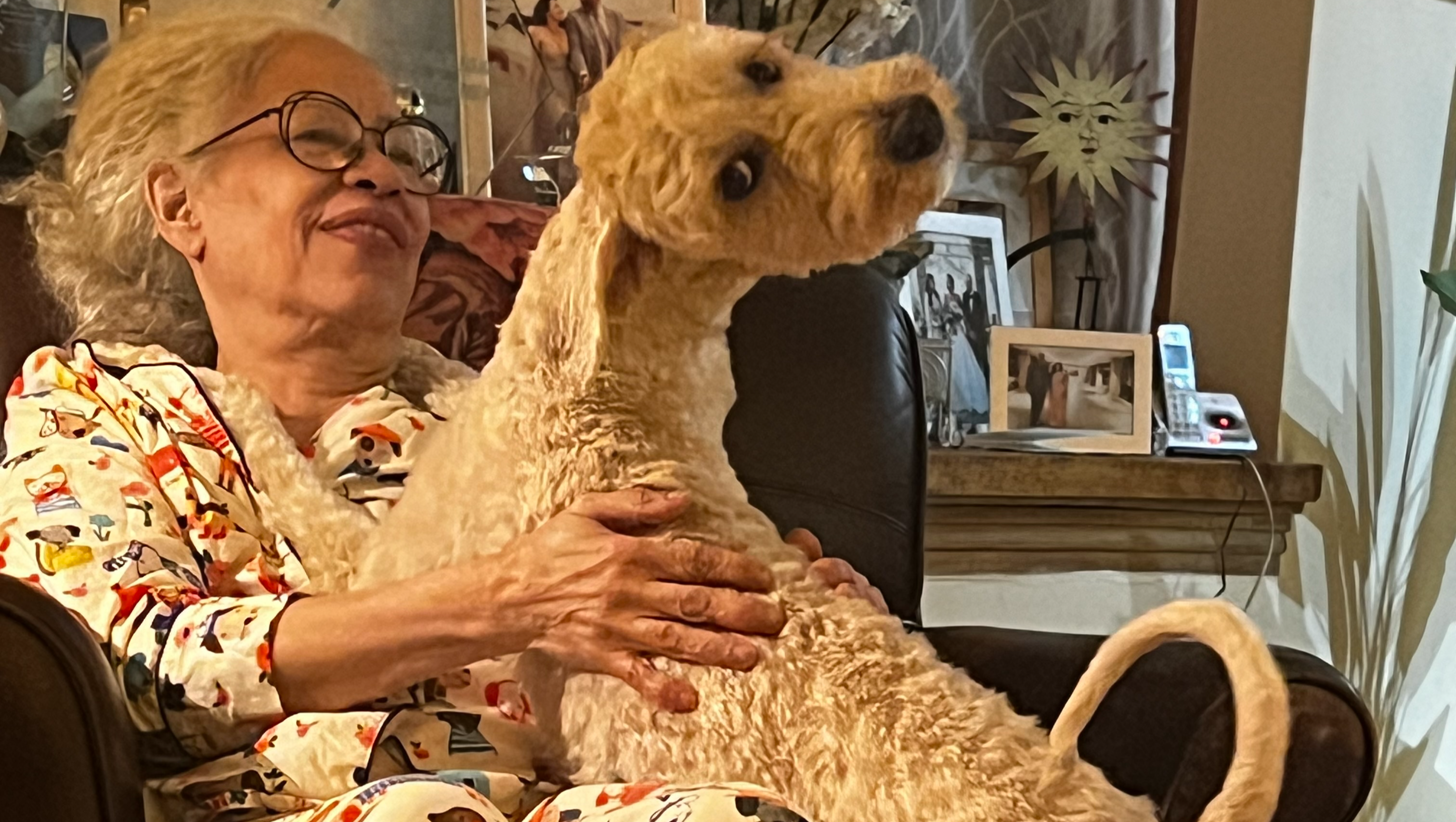 Fundraiser by Taborah Johnson : Harry & Tabby - Help the two Queens of ...