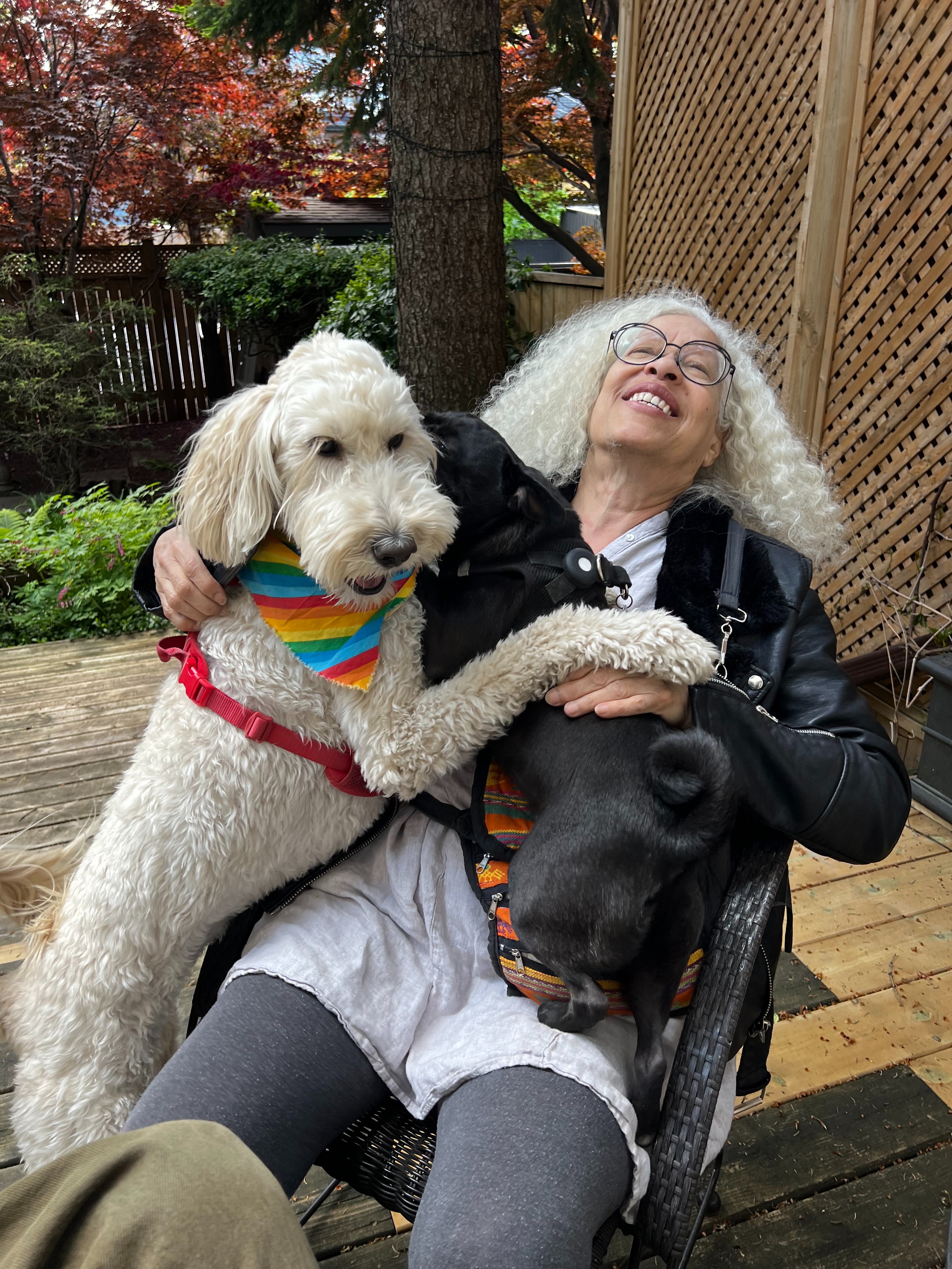 Fundraiser by Taborah Johnson : Harry & Tabby - Help the two Queens of ...