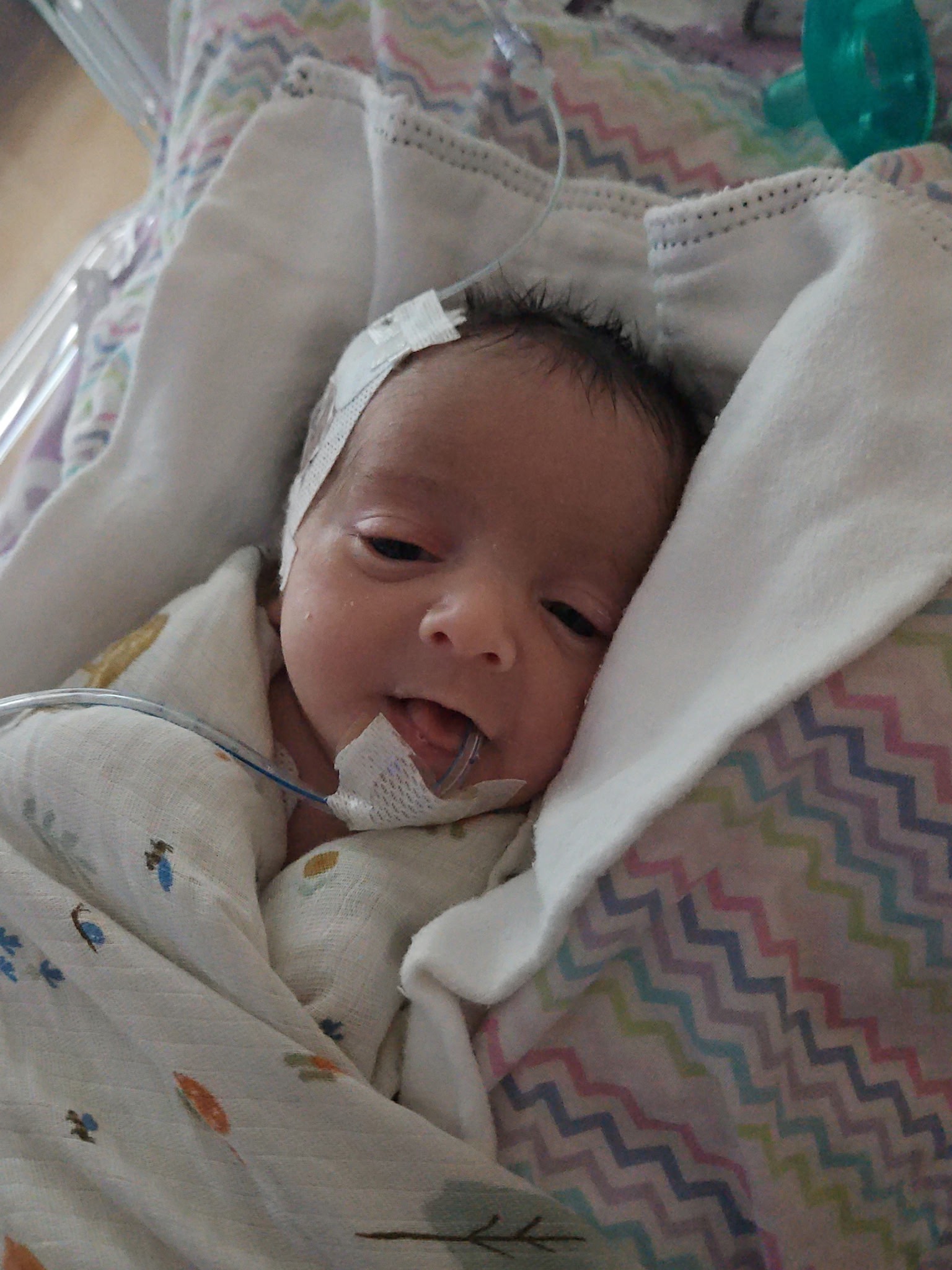 Fundraiser for Elizabeth Beriau by Monique DeLeo : Help support the ...