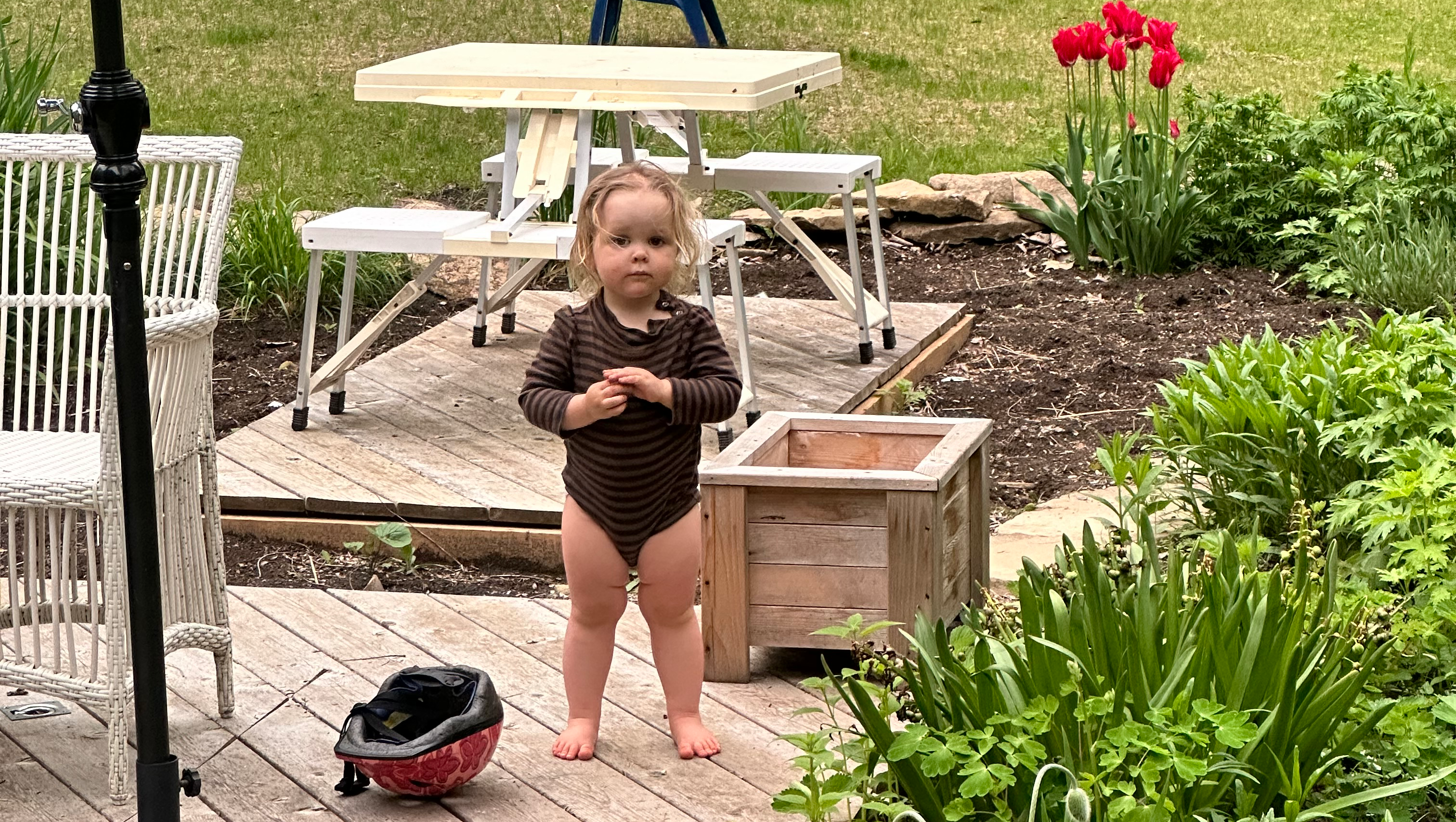 Fundraiser for Jared McAdam by Bliss Edwards : Sweet Frances