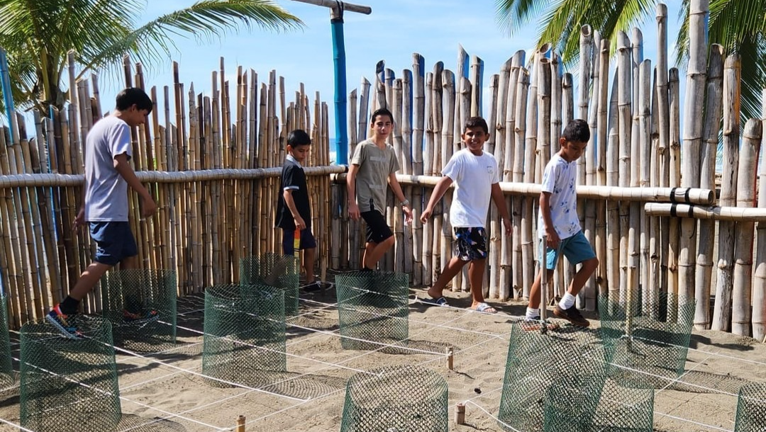 Fundraiser by Dustin Ladd : 20 Years of Saving Sea Turtles — Help Us ...