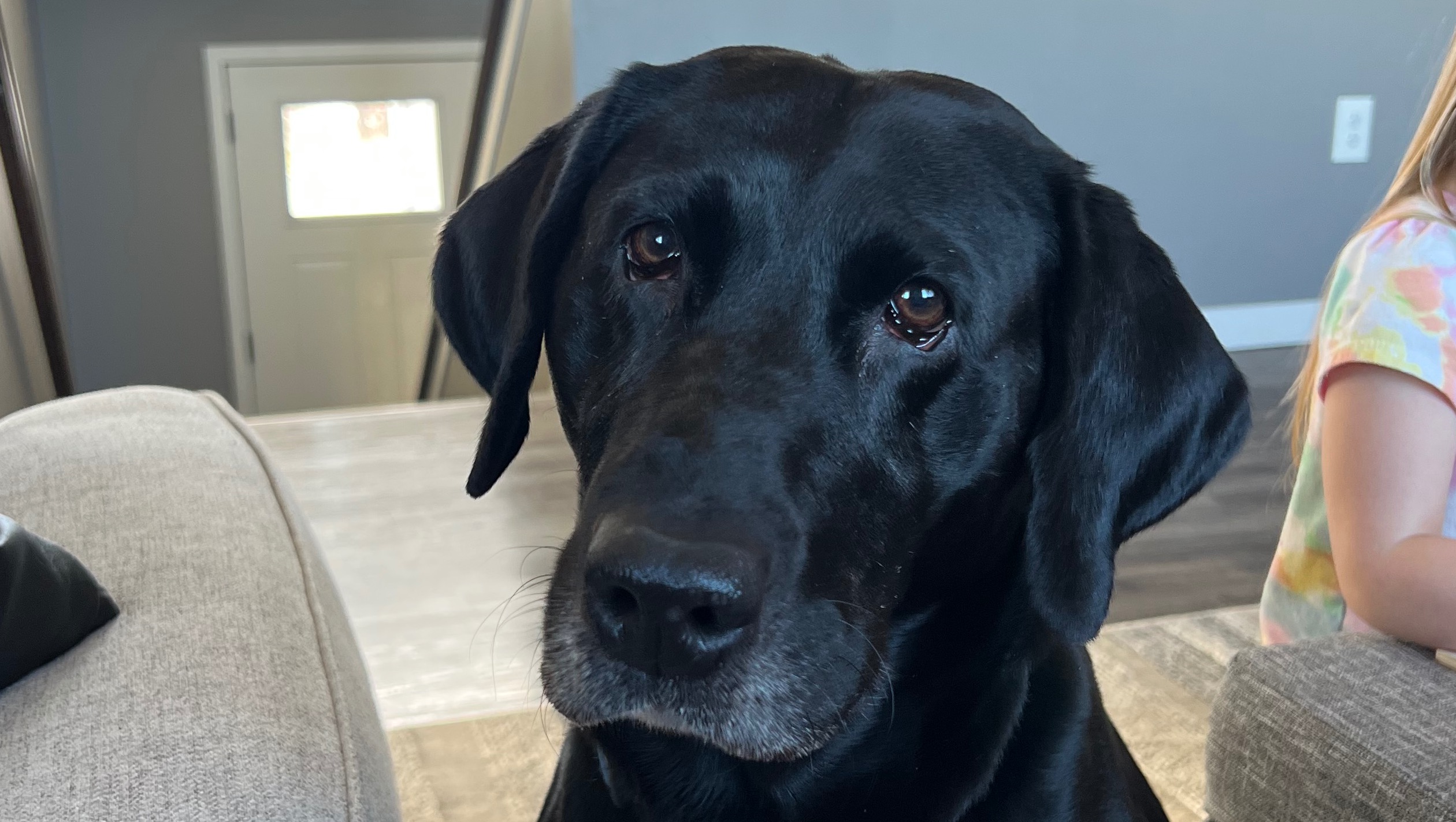 Fundraiser by Kadie Olivier : Help Boone Get Life-Changing Hip Surgery
