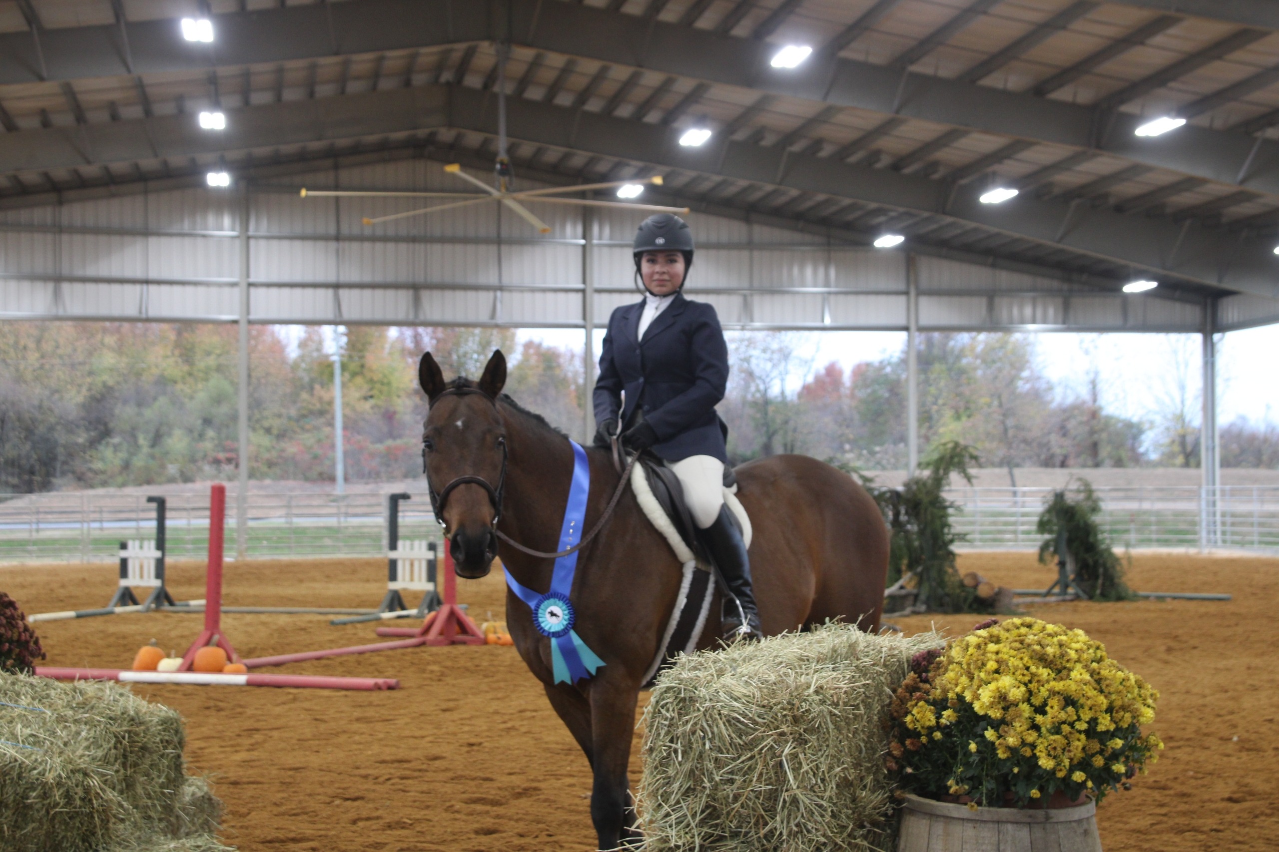 Fundraiser by Lynn Stokking : Help Winston Survive Life-Threatening Illness