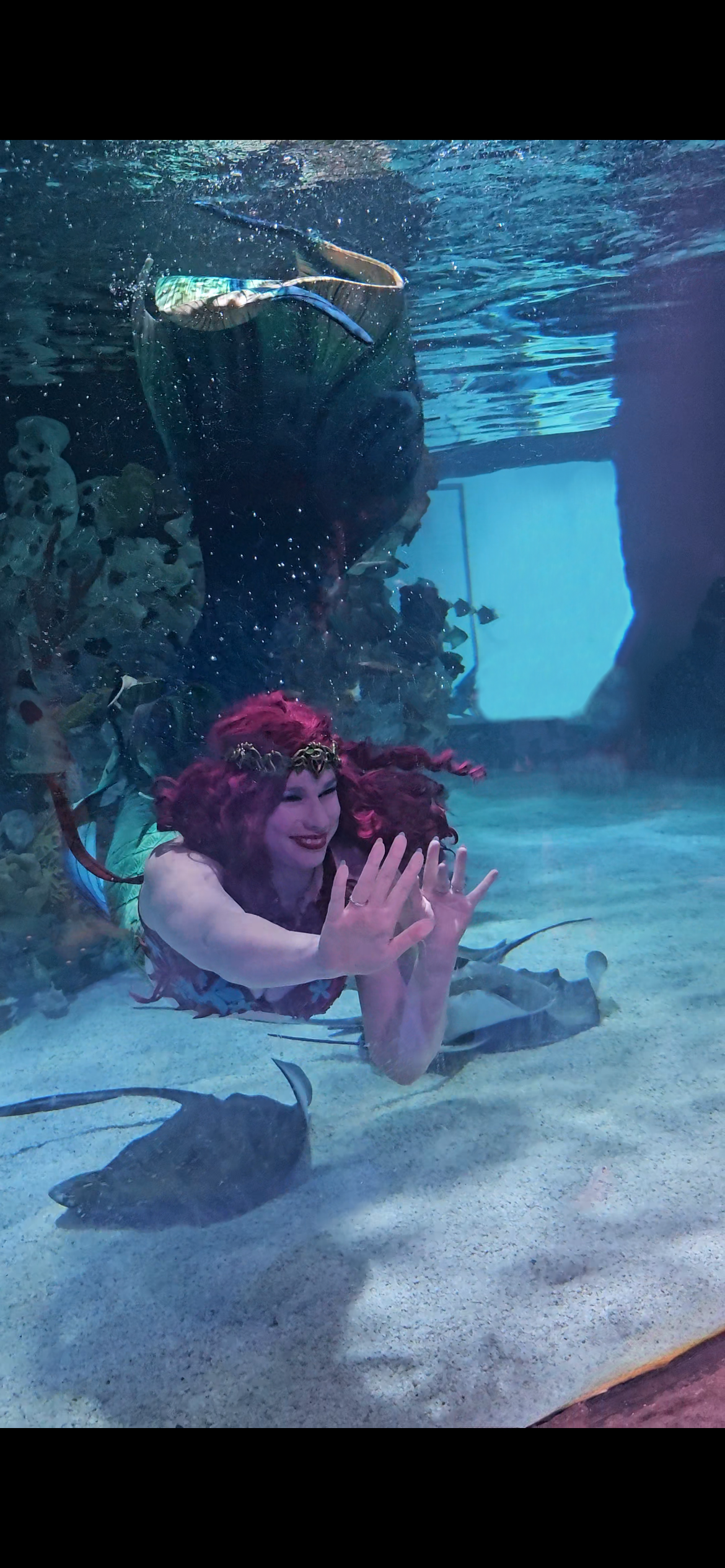 Fundraiser by Ashe Hale : Keep Mermaid Ashe and Friends Safe and Warm ...
