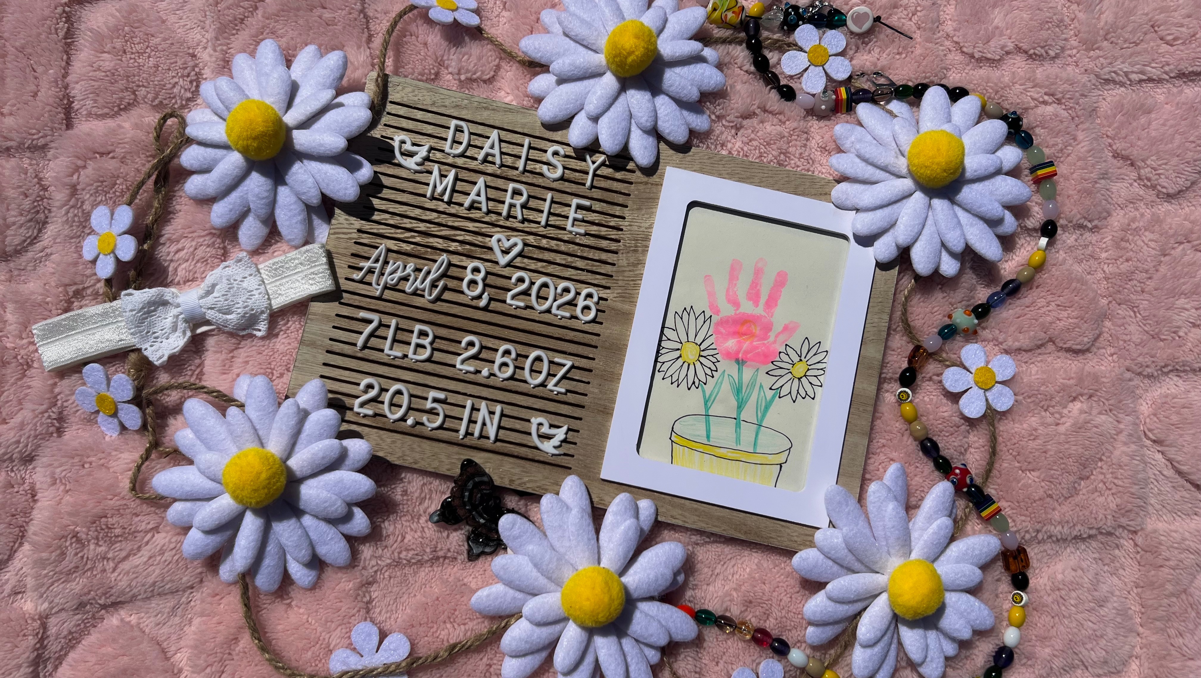 Fundraiser for Ana Fox by Taylor Reicosky : In Loving Memory of Daisy
