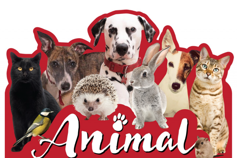 Fundraiser by Maxine Berry : Animal Abuse Register Campaign