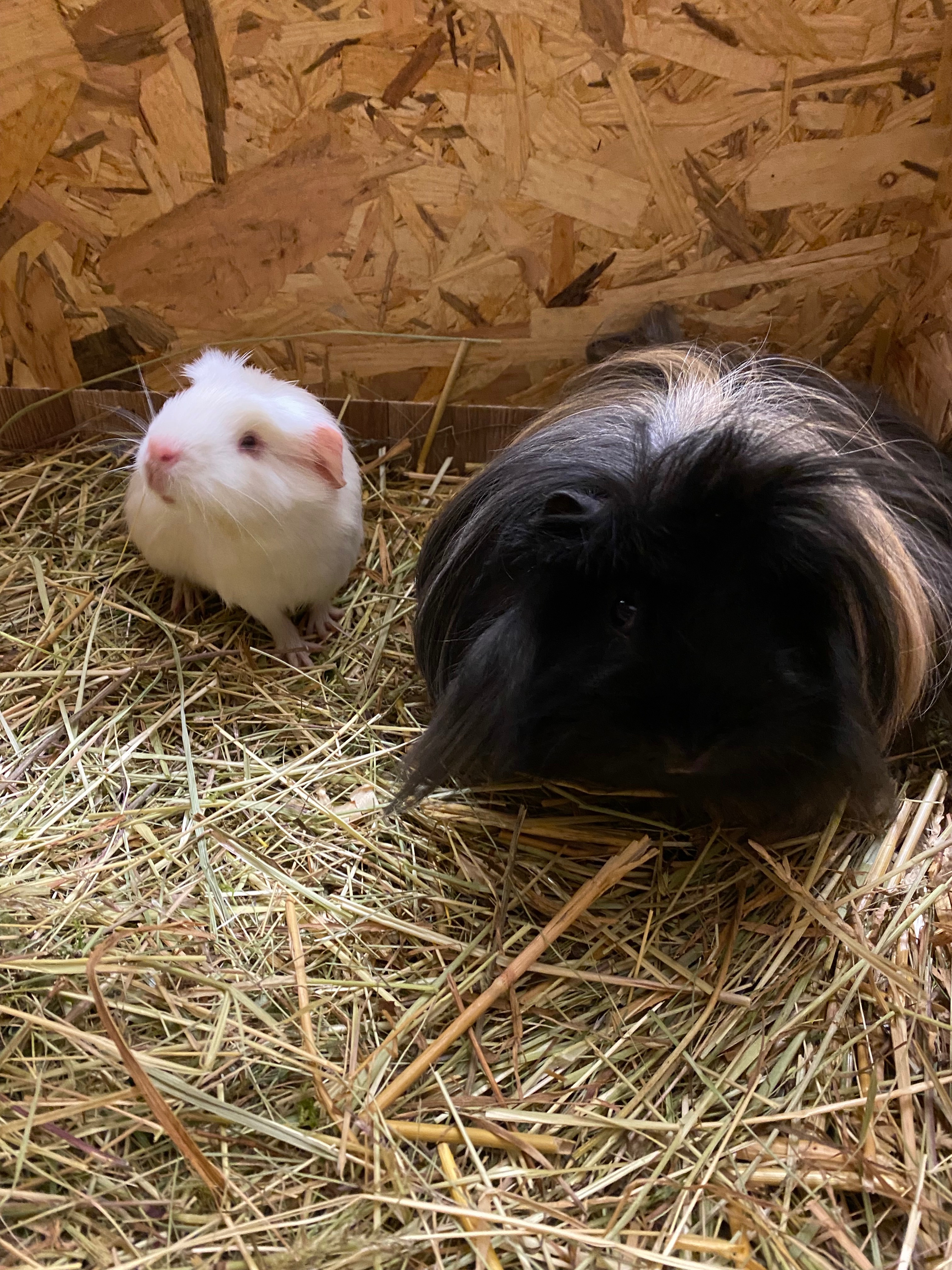 Fundraiser by Stefanie Frey : Milky - ein ganz besonderes ...