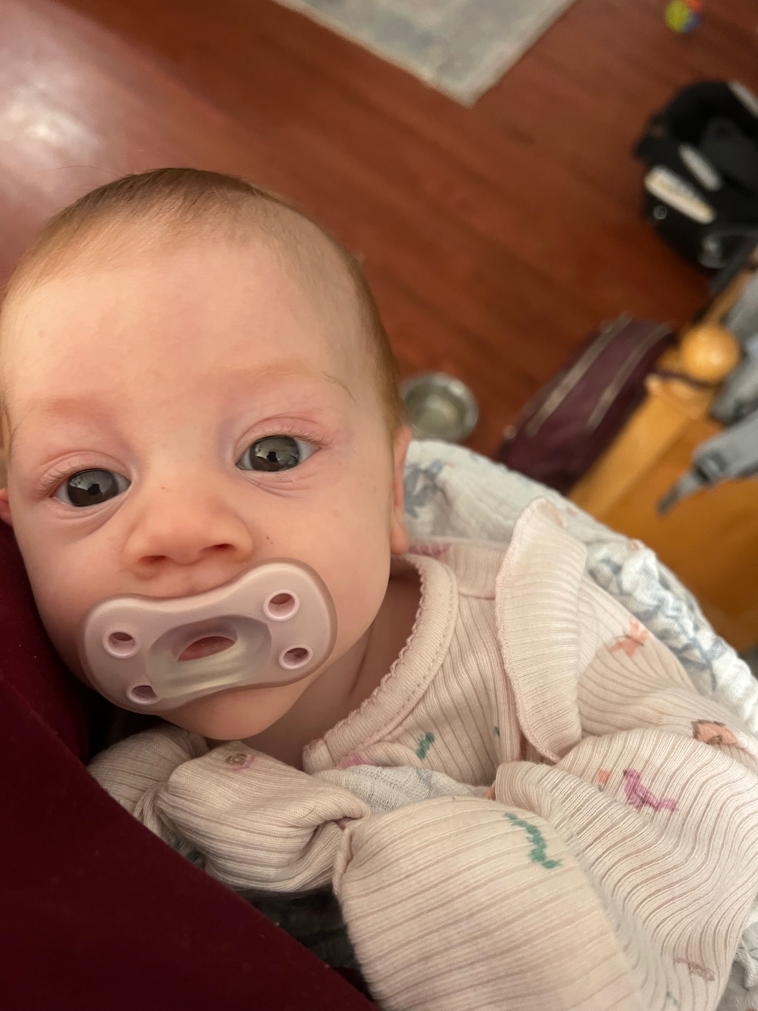 Fundraiser by Savannah Russett : Help Lay Baby Iris to Rest