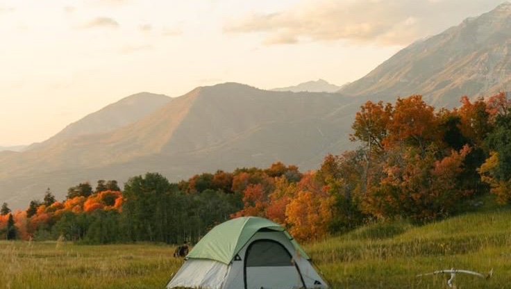 Fundraiser by B H : Help Me Attend Summer Camp in Yosemite