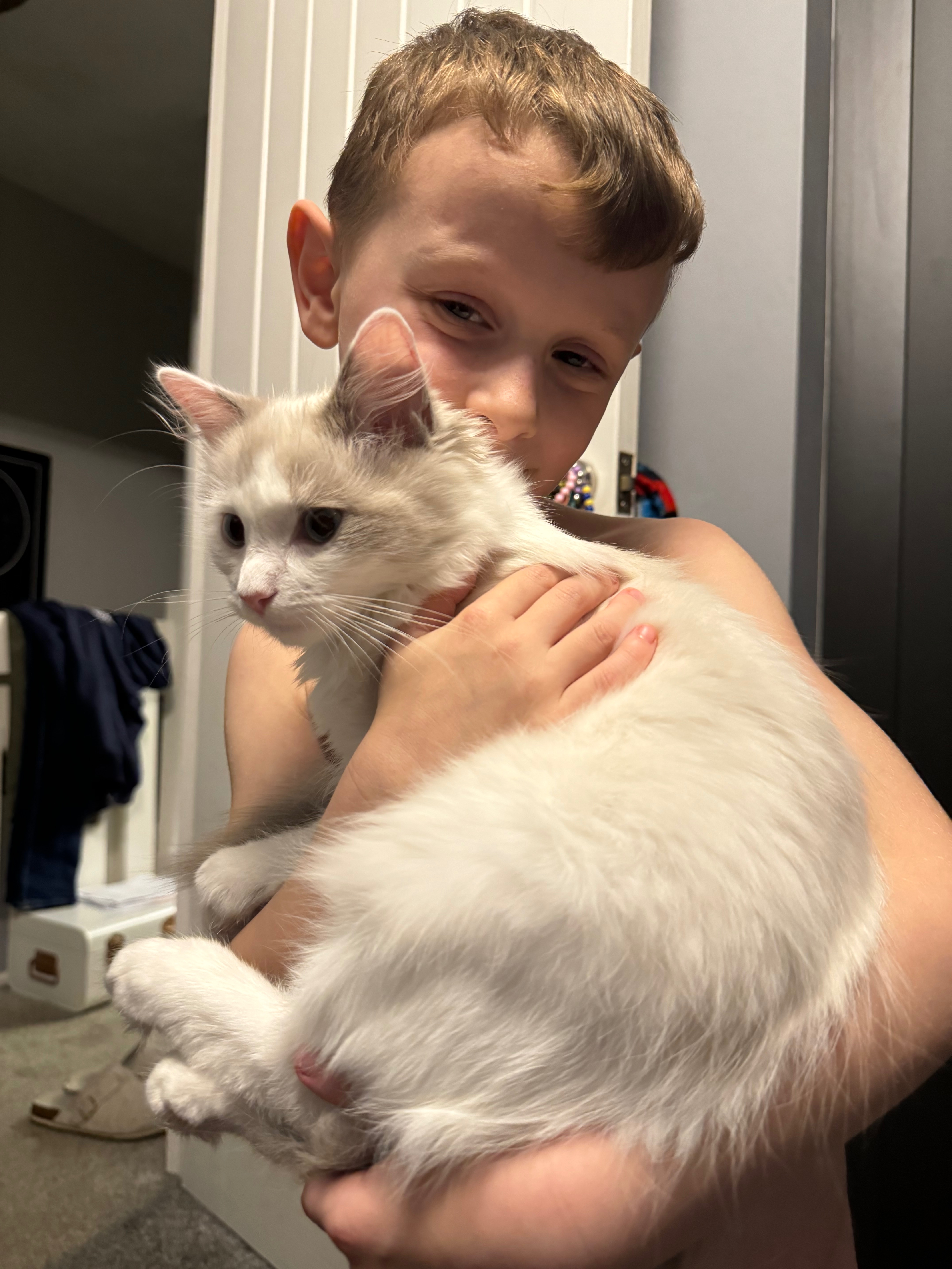 Fundraiser by Laura Brady : Help Save Lola – My Son’s Best Friend