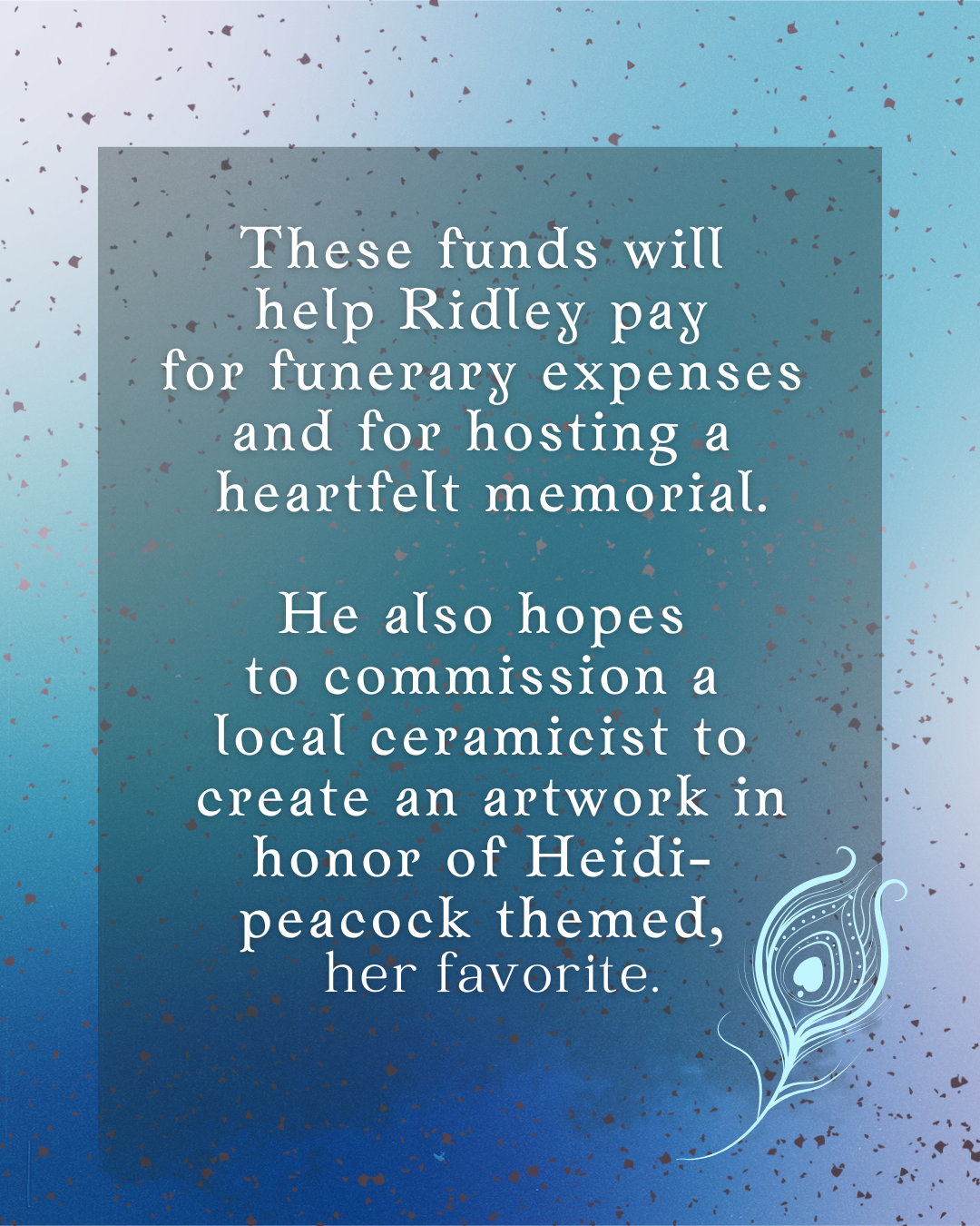 Fundraiser by Lucia Calderon Arrieta : Help Ridley Honor His Mother ...