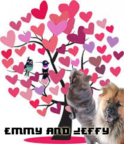 Fundraiser by Beverley Nilson : Help for moving for Bev ,Emmy and Jeffy