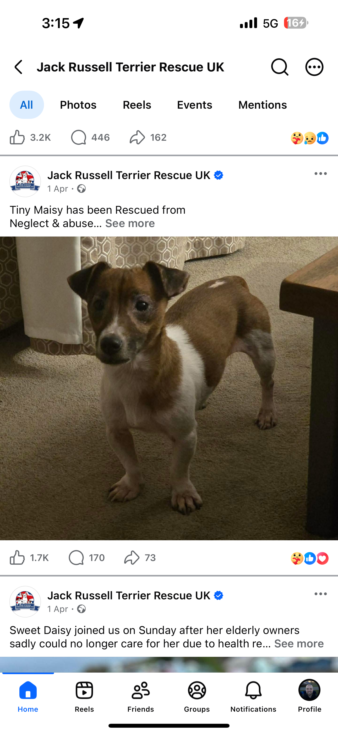 Fundraiser by Noel Tudor : DONATE FOR DOG RESCUE!