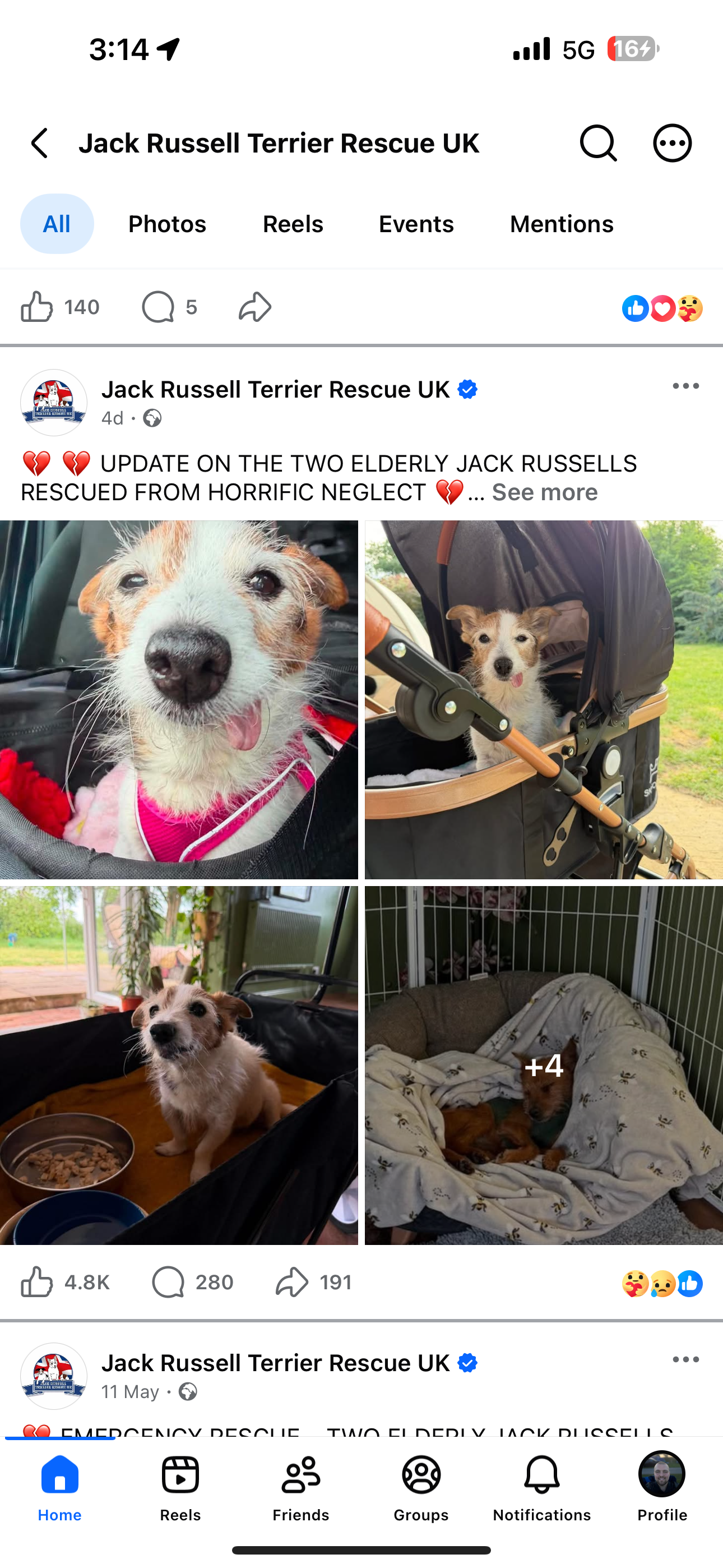 Fundraiser by Noel Tudor : DONATE FOR DOG RESCUE!