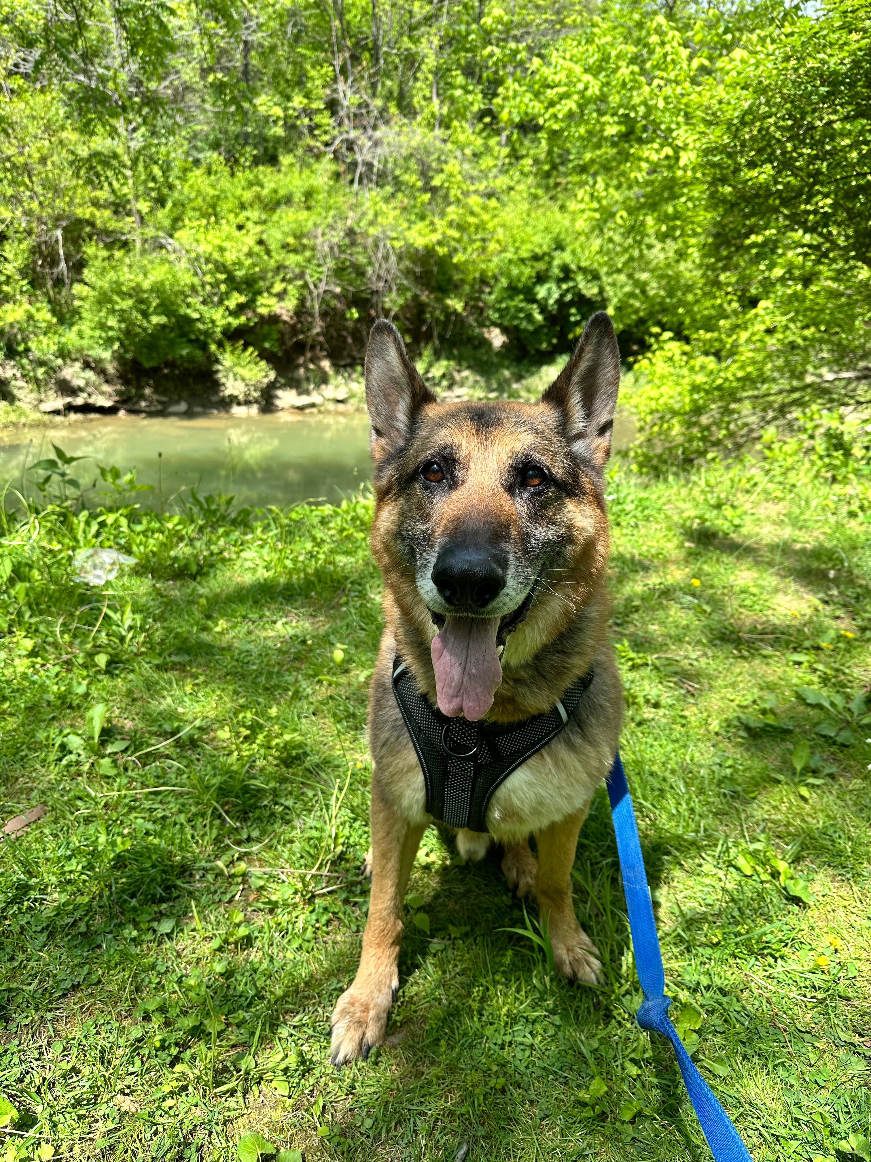 Fundraiser by Miranda Venus : Help Axel Run and Play Again
