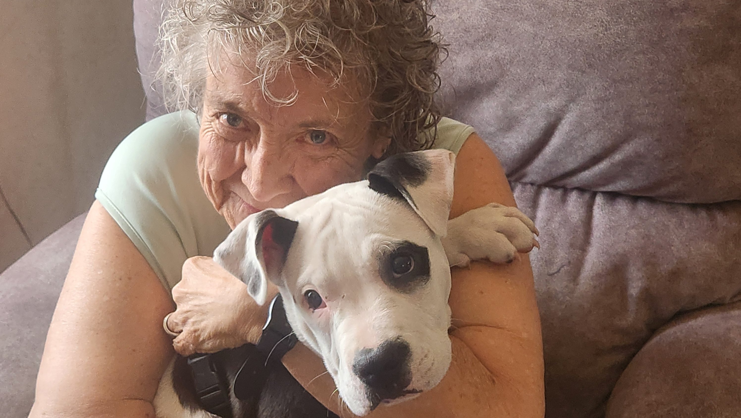 Fundraiser by Venetia DiRico : Help Venetia’s Mom Recover