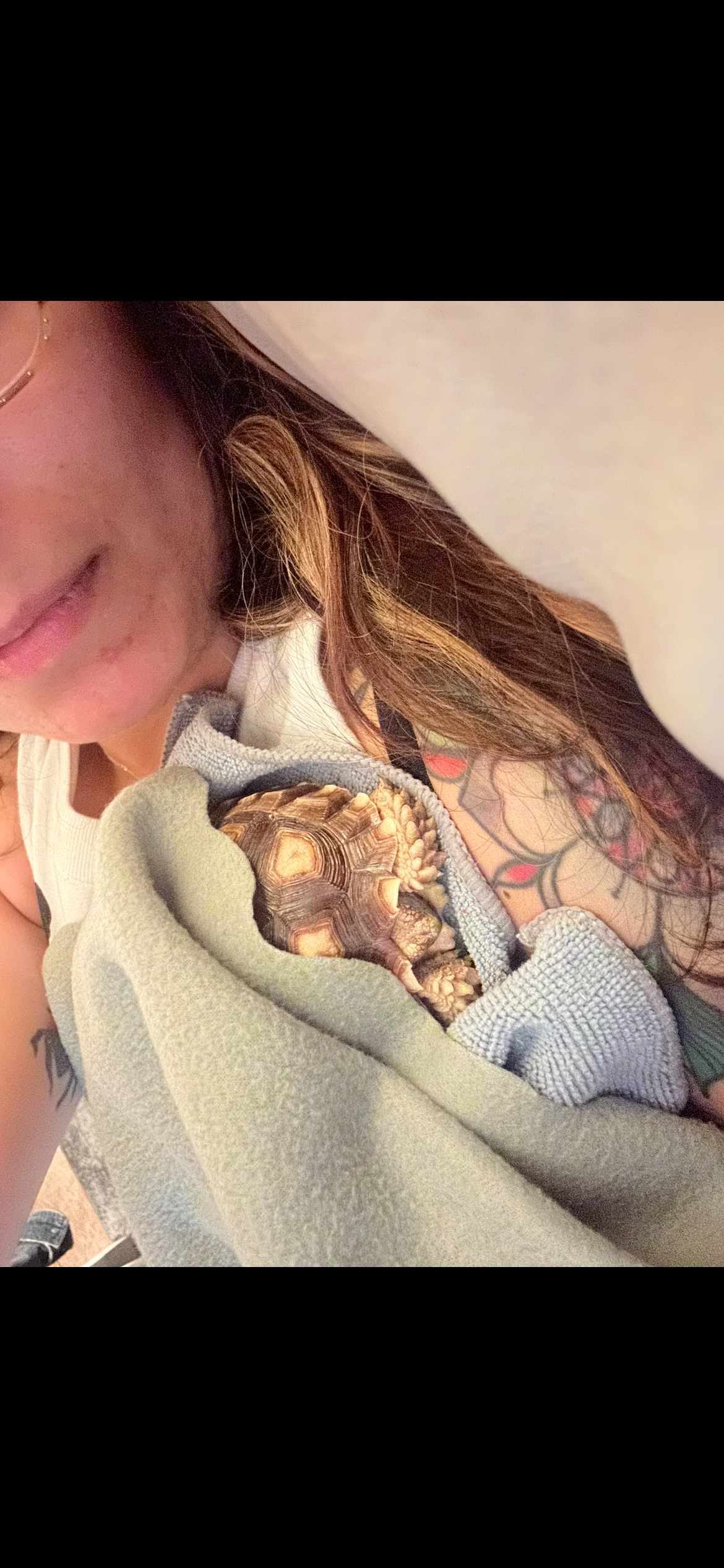 Fundraiser by Laura Blanco : Help Chester the Turtle Get the Care He Needs
