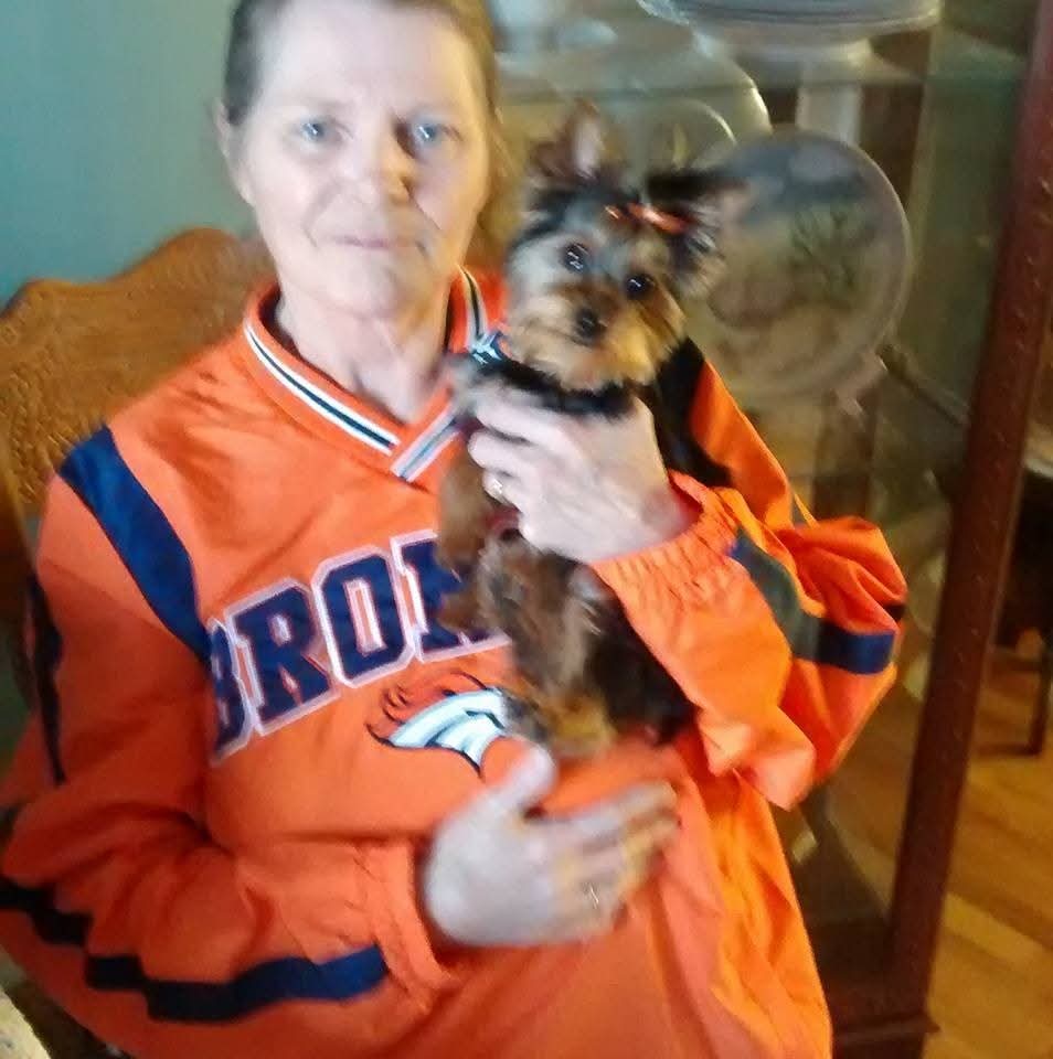 Fundraiser by Kassy M : Help Cashew the Yorkie Get Life-Saving Surgery