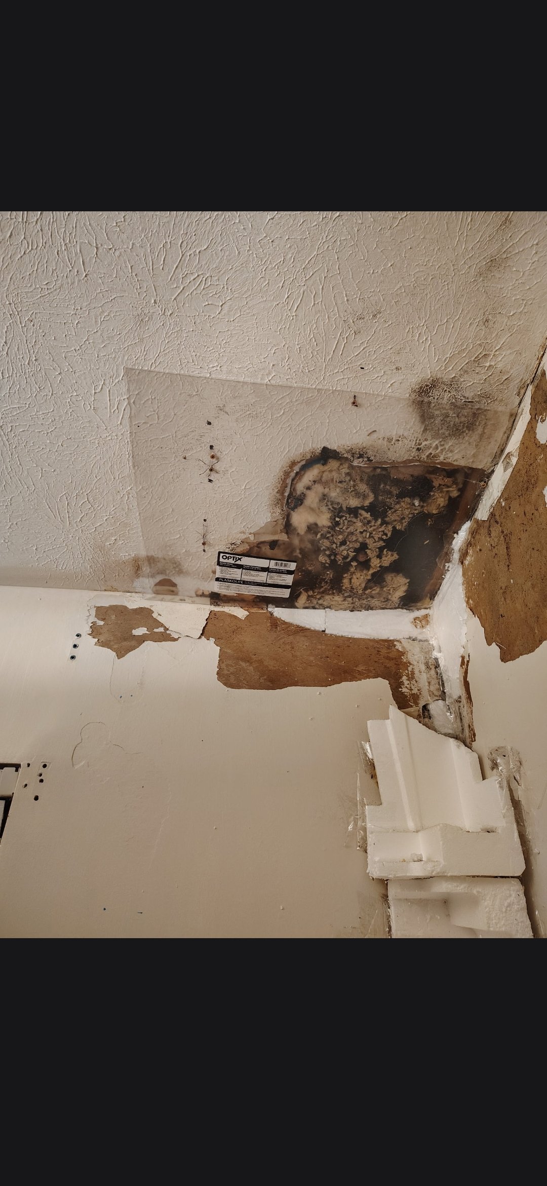 Fundraiser by Emily Davis : Help My Mother Repair Her Home After Emergency