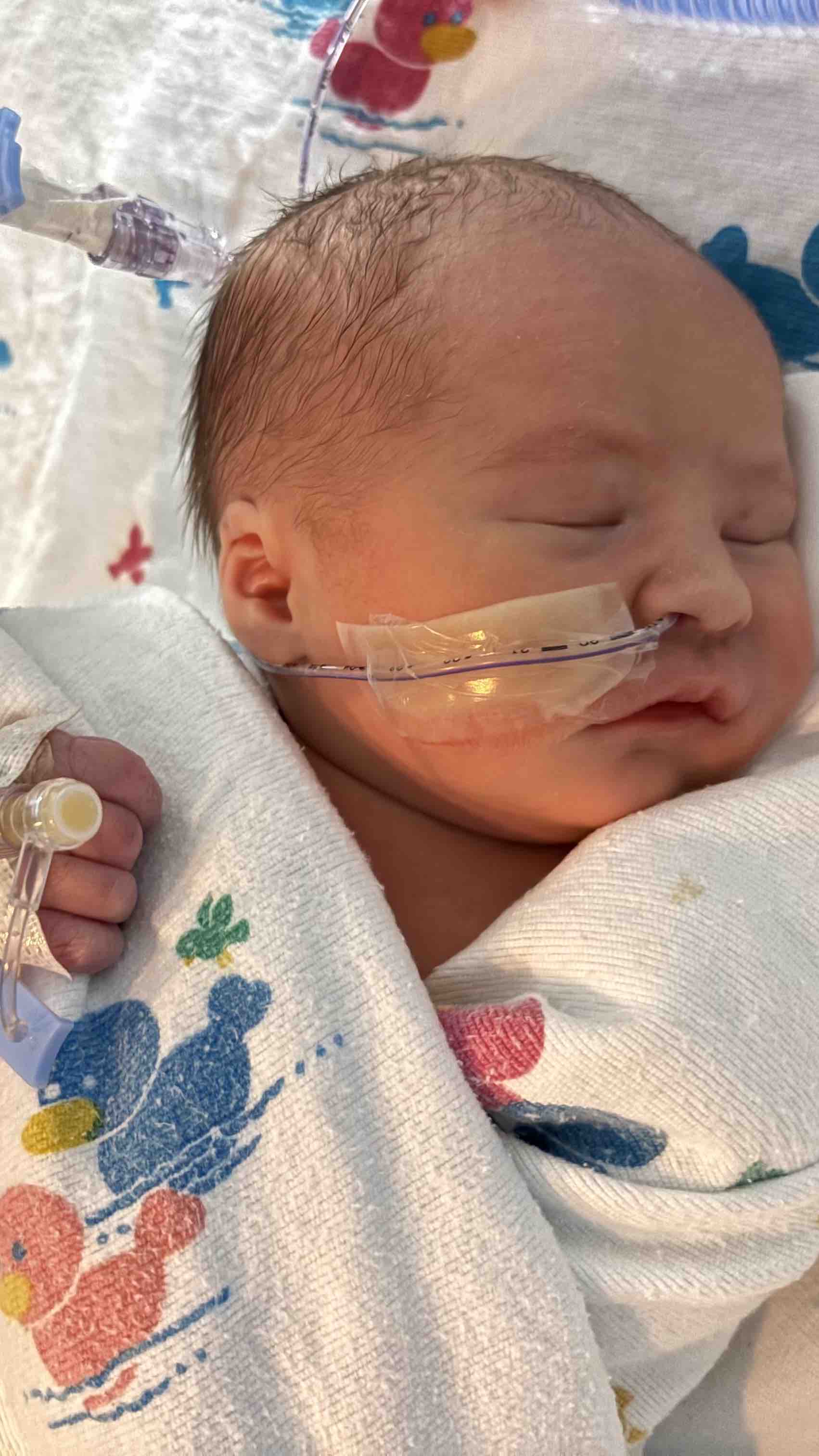 Fundraiser for Corey Hamel by Ashley Hamel : Food and Travels for Baby ...