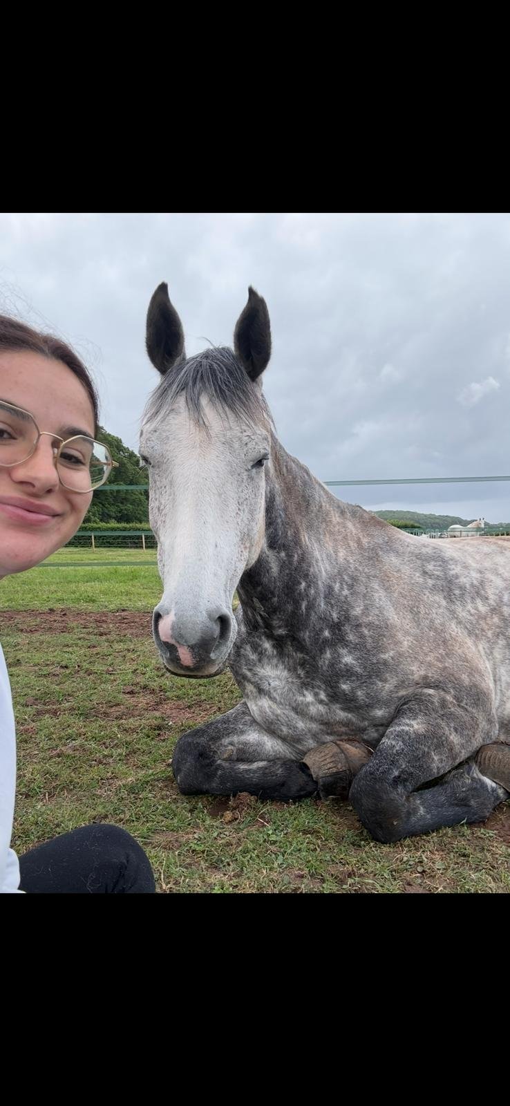 Fundraiser by Louise Whitehead : Help Cosette After the Tragic Loss of Iris