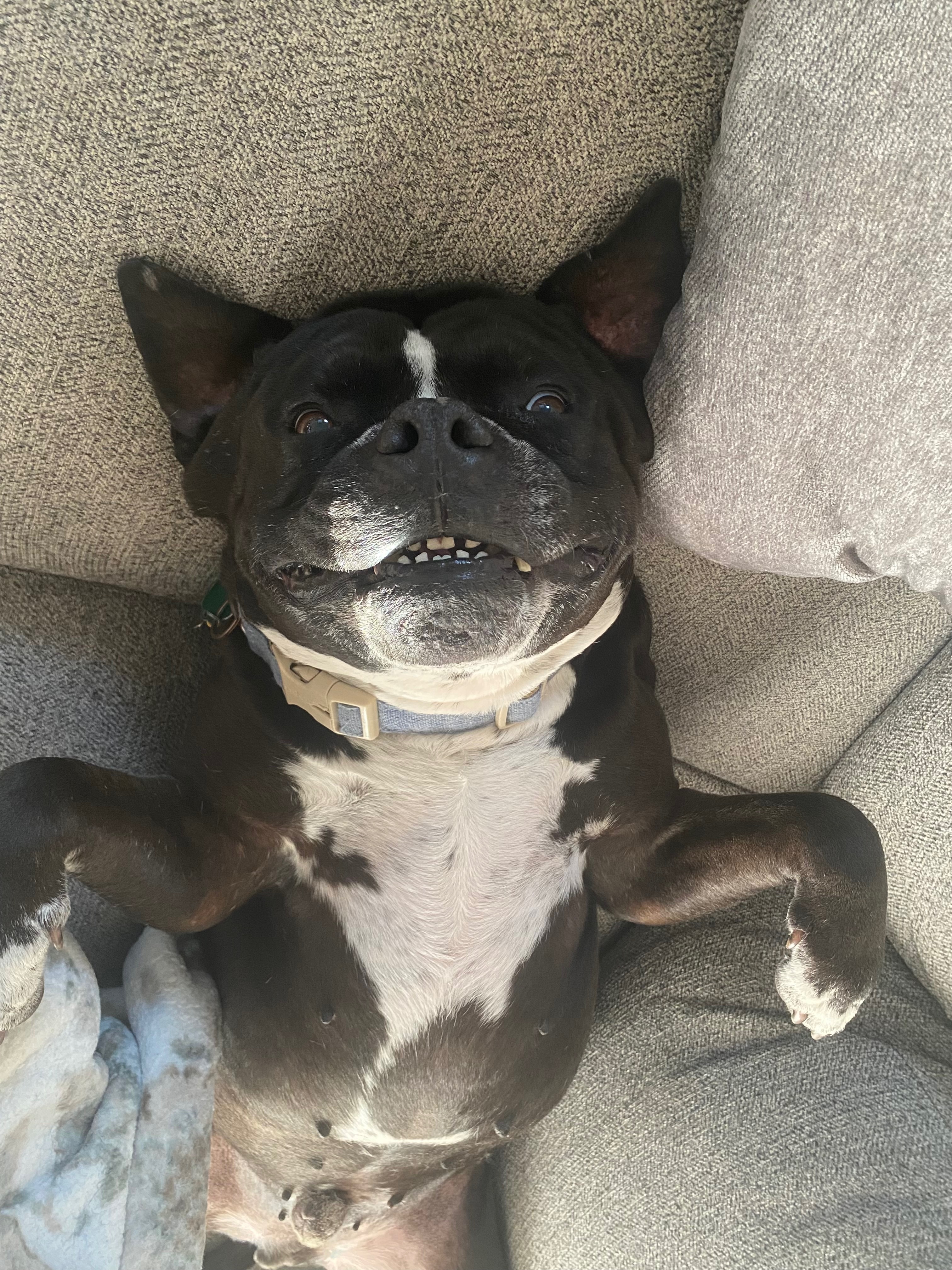 Fundraiser by Faith Rankin : Help Franklin Get Life-Changing Surgery