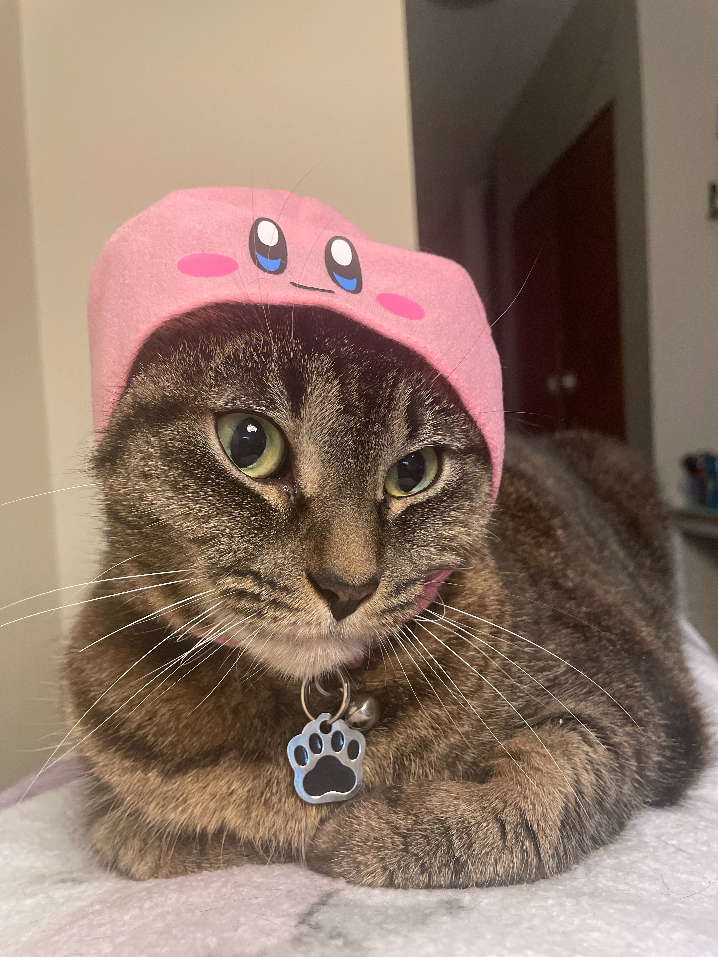 Fundraiser by Ashlee Frades : Help Suzi Get Thyroid Treatment