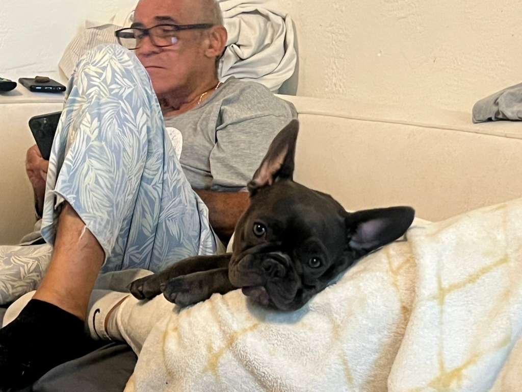 Fundraiser by Luz M Cardona : Help Reunite a Family With Their 3 Dogs