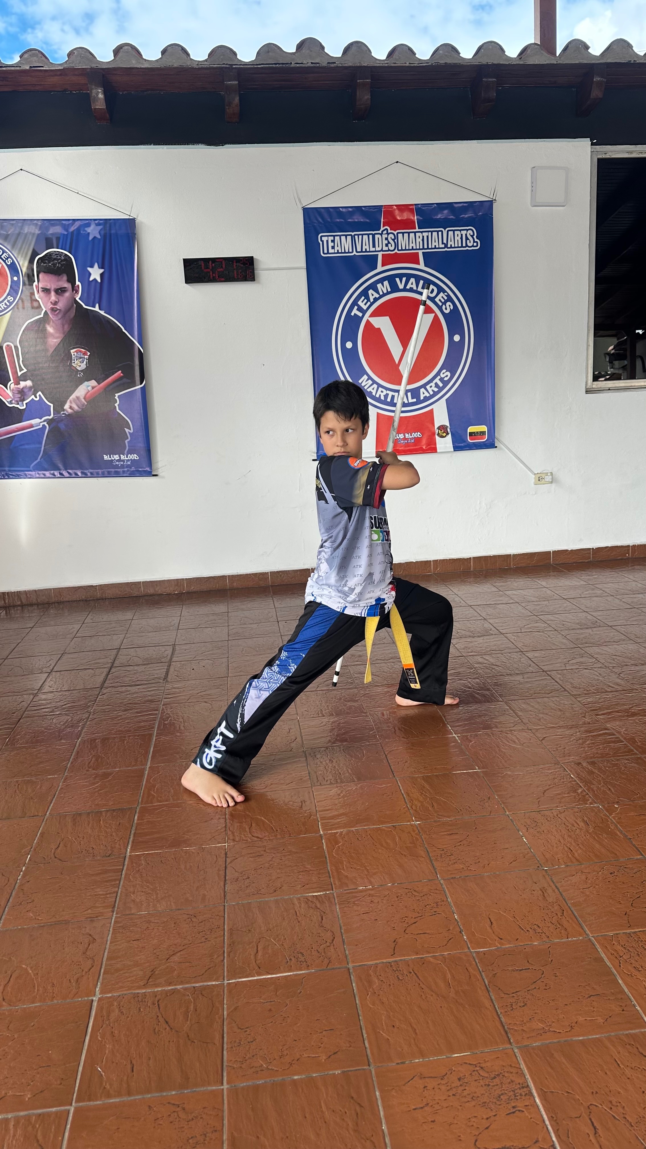 Fundraiser by Team Valdes Martial Arts : Apoya a los atletas: Un Tatami ...