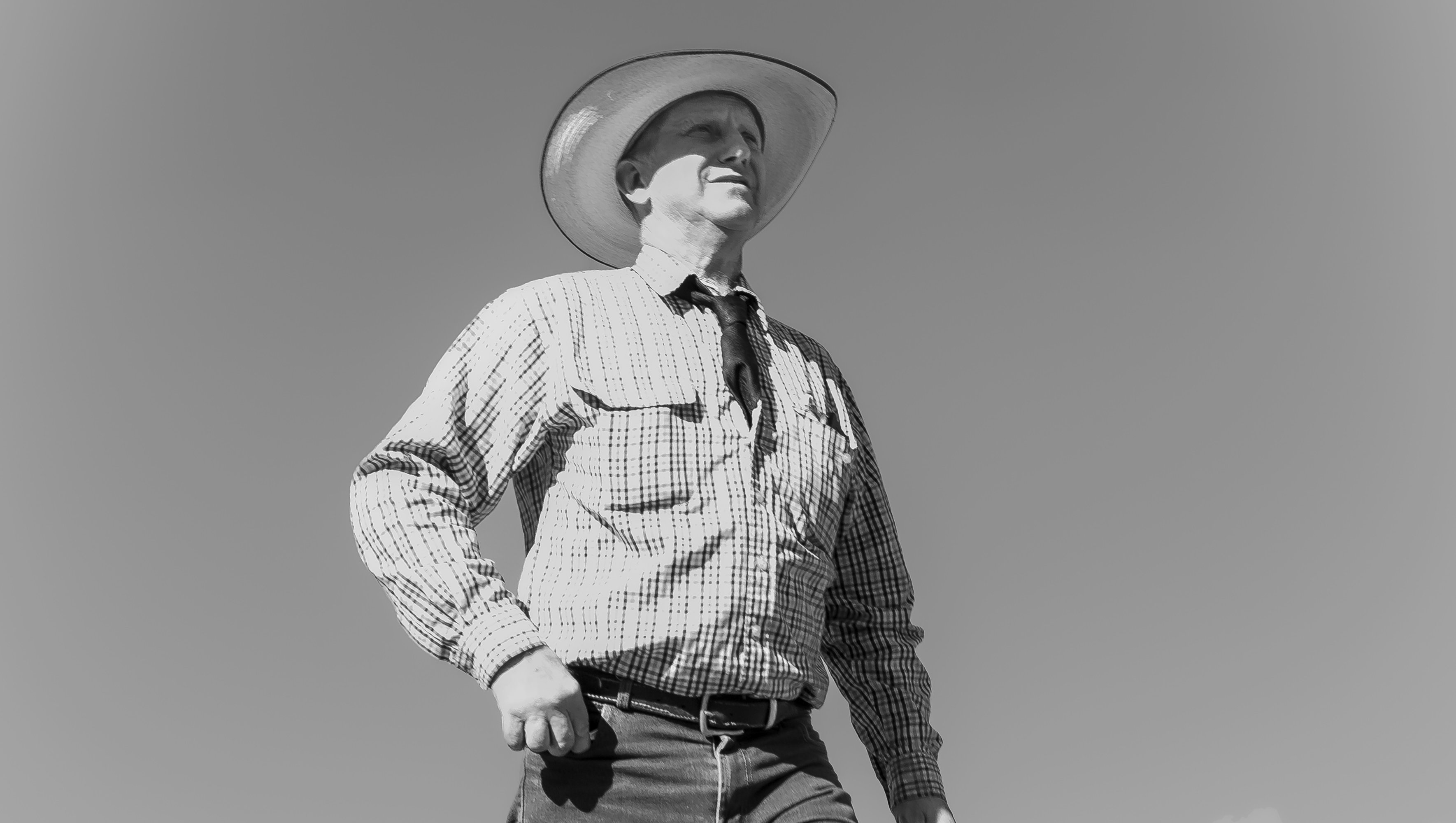 Fundraiser by Hannah Phillips : Helping Wayne and Francine after a hay ...