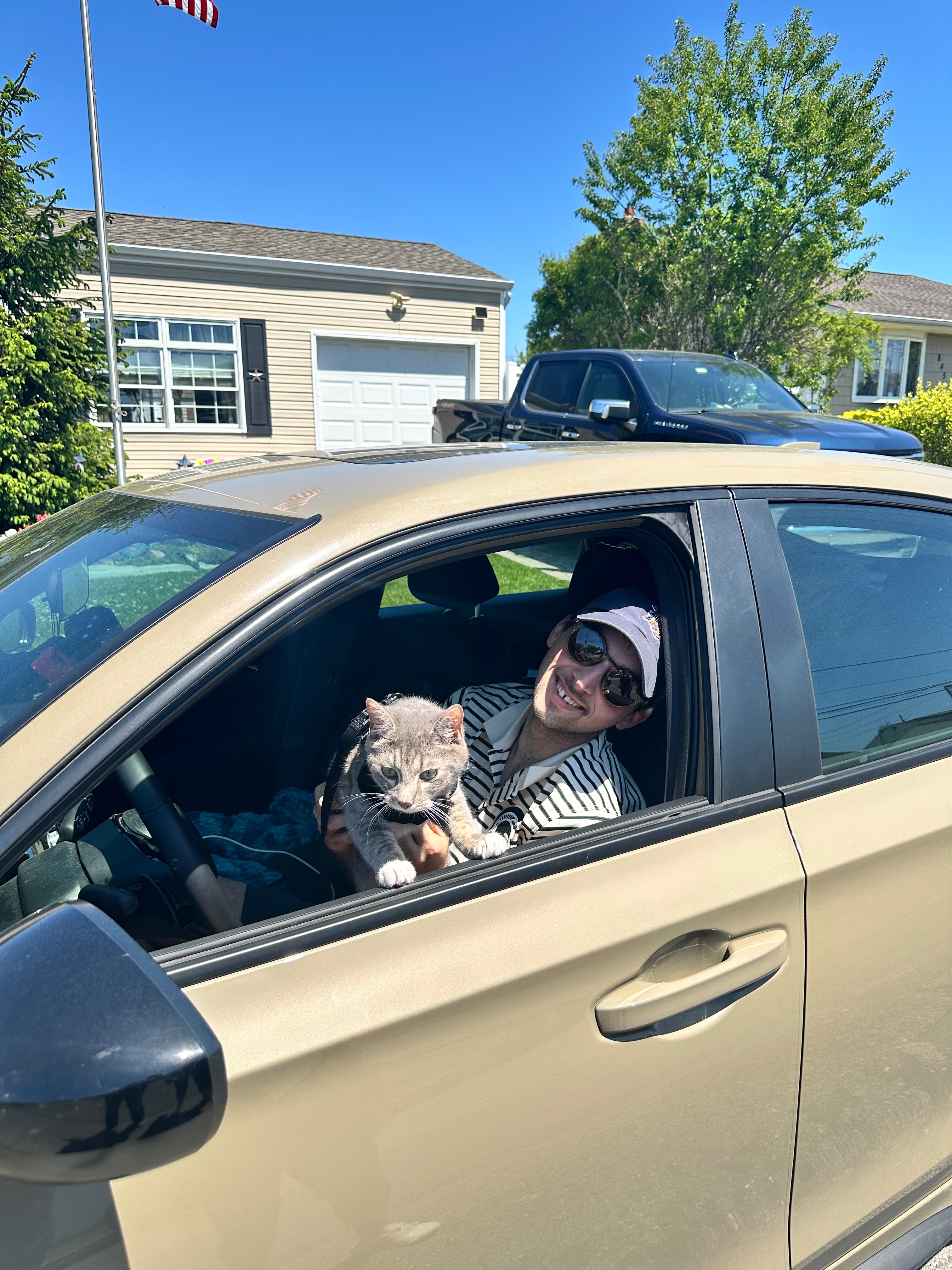Fundraiser by Dayna Molinelli : Help Apollo Recover from FIP