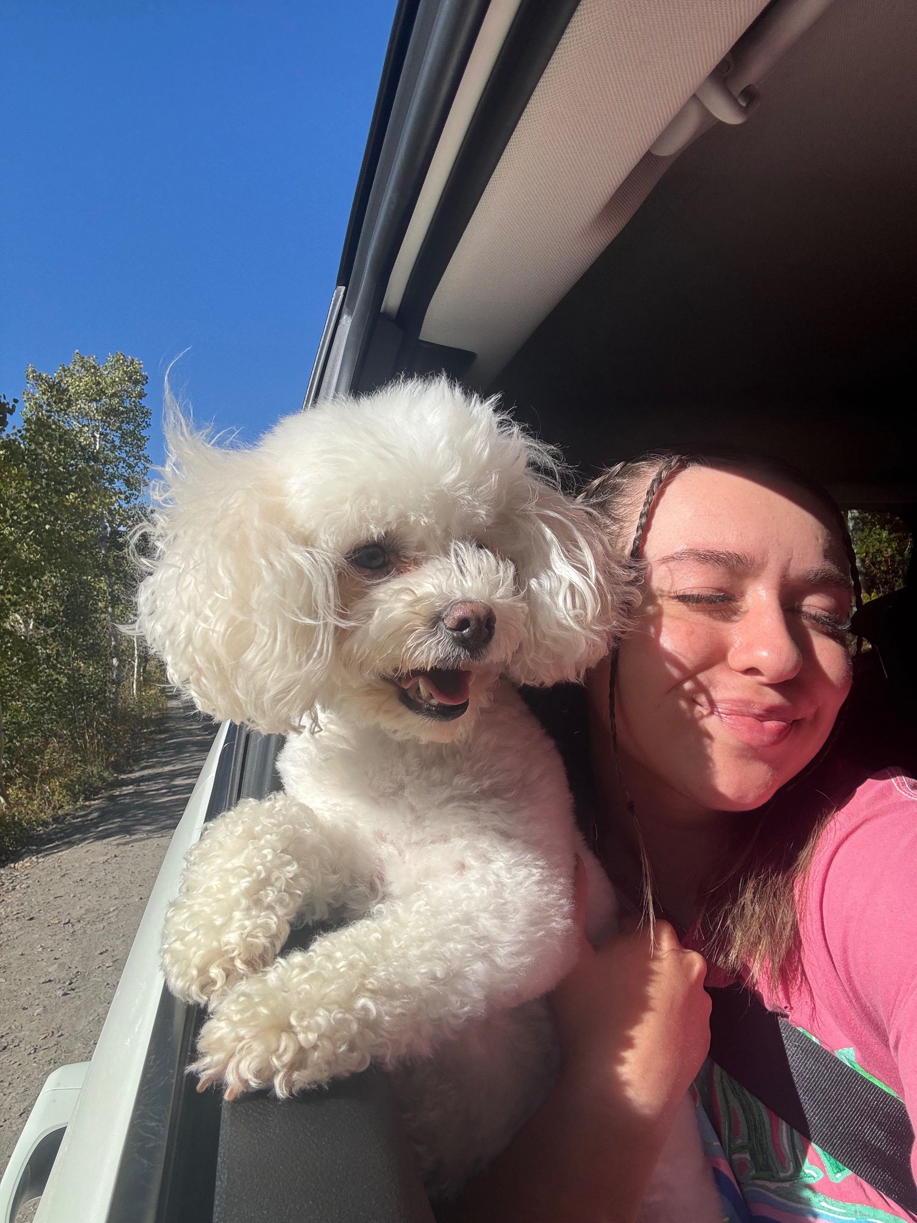 Fundraiser by Delilah Collings : Help Delilah's Dog Get the Surgery He ...