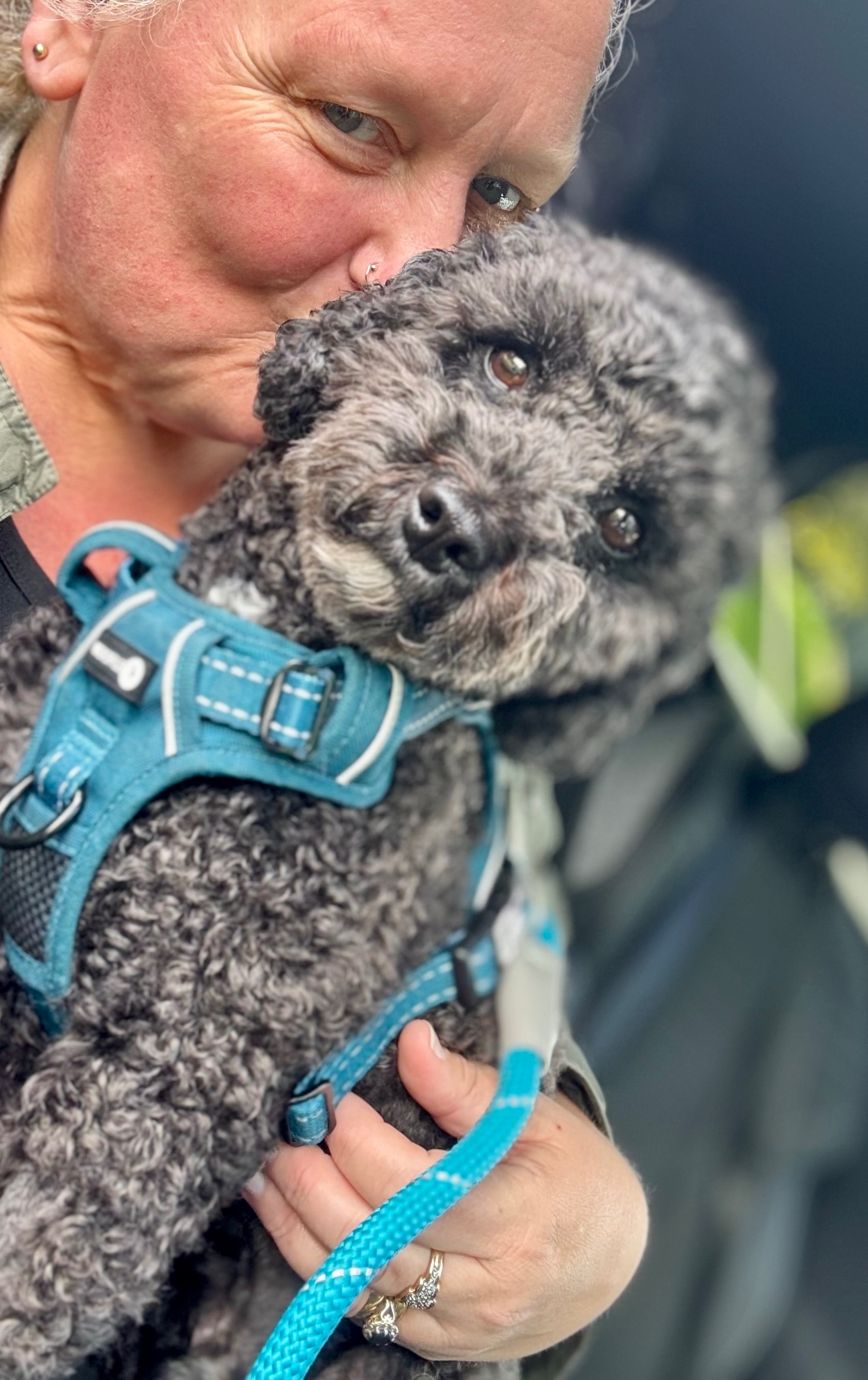 Fundraiser by Carol Pontin : Previously neglected pup needs life saving ...