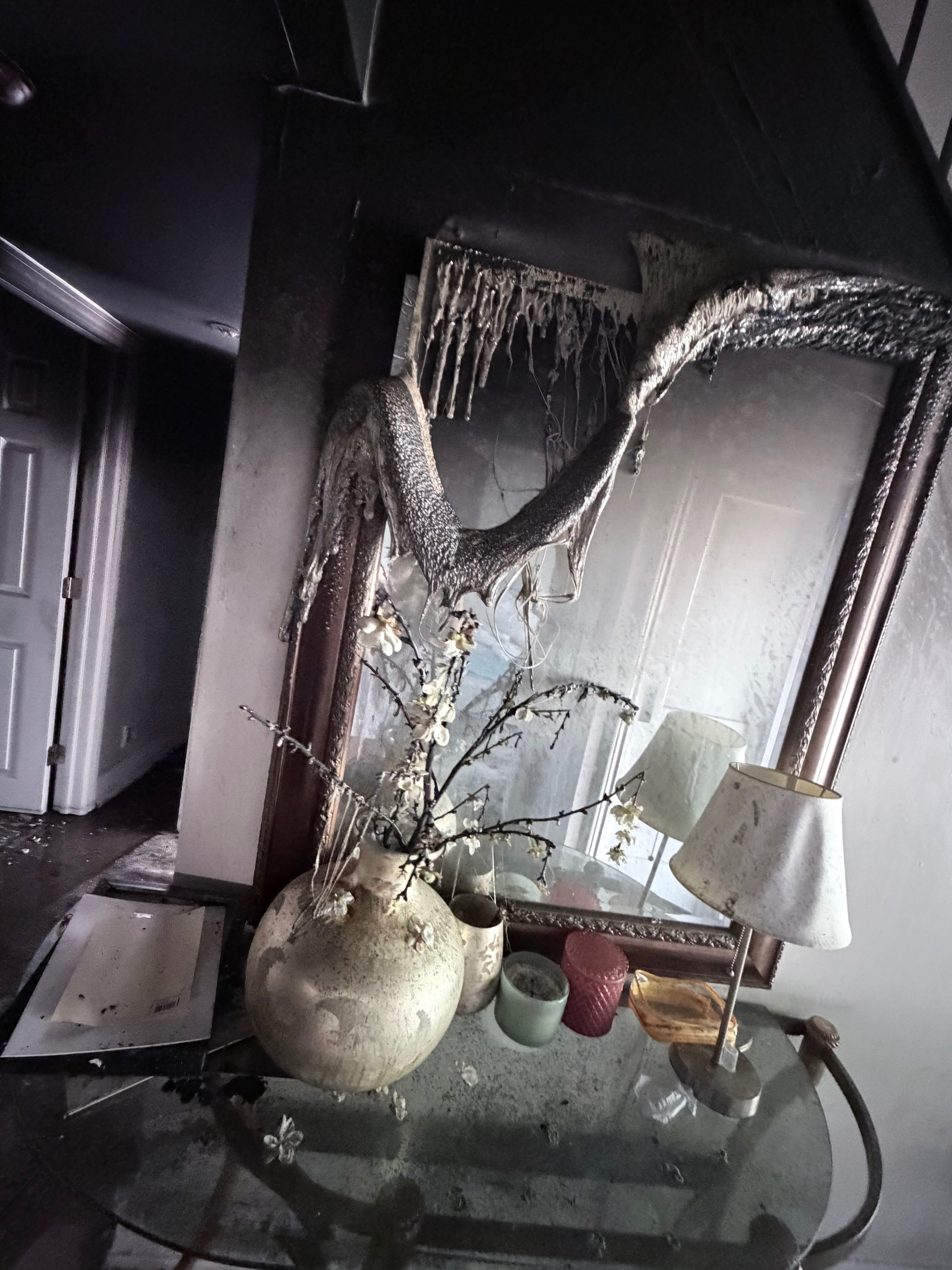 Fundraiser by emilia mielnik : House fire, animal vet bill, anything helps!