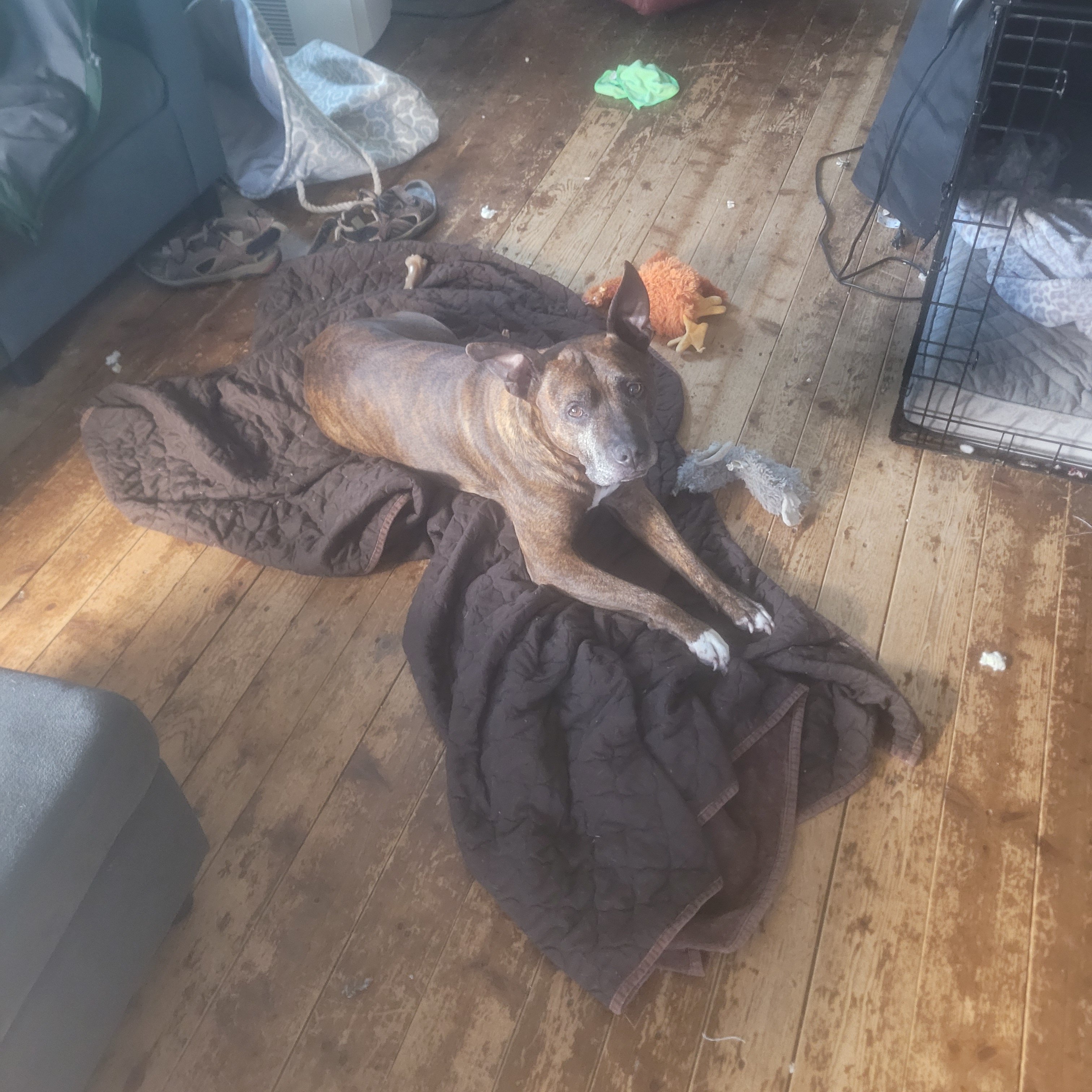 Fundraiser by Jeffrey Stoeckel : Help Jeffrey Stay Housed During Recovery