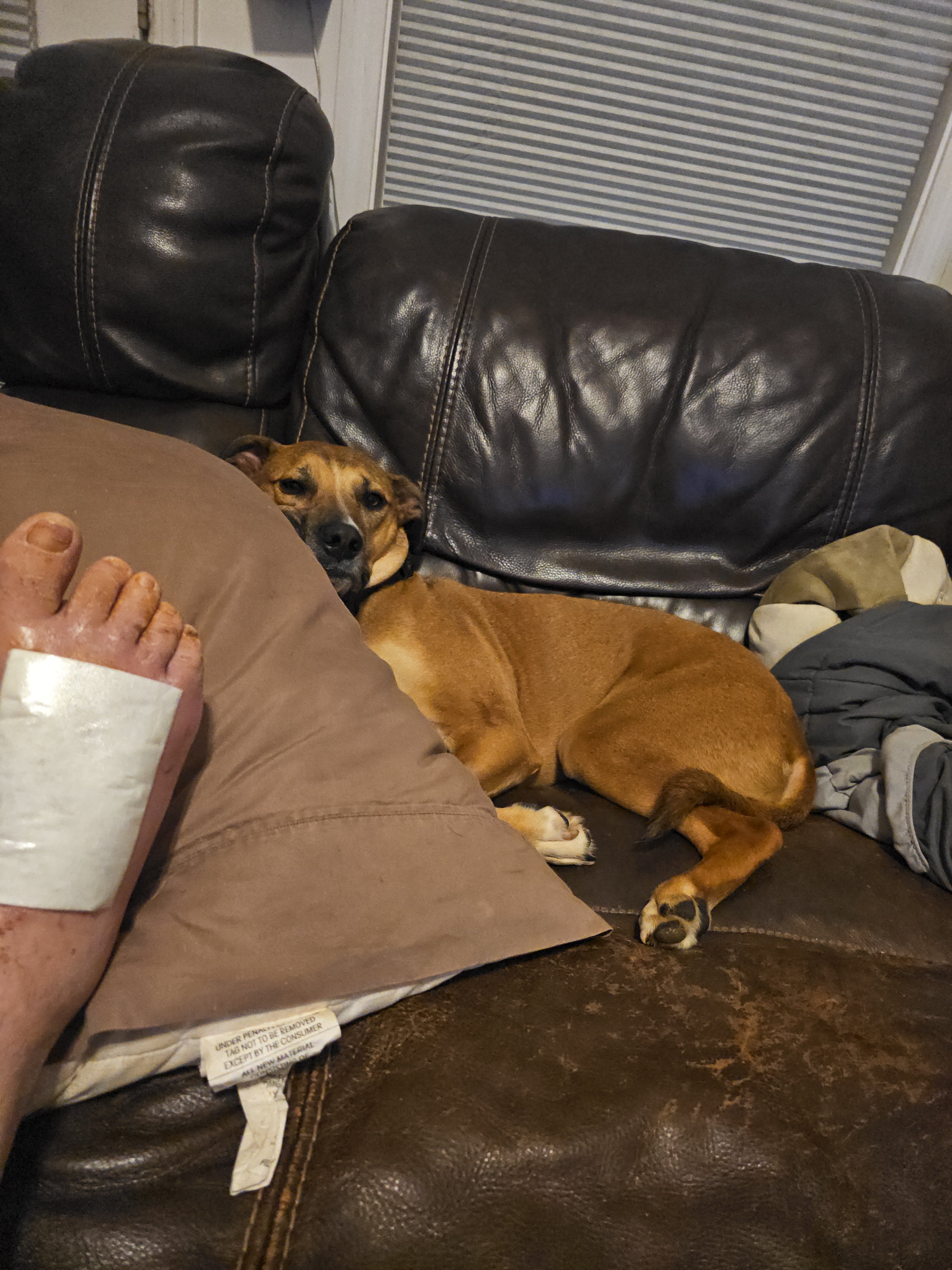 Fundraiser by Dave True : Support Dave's Recovery After the Accident