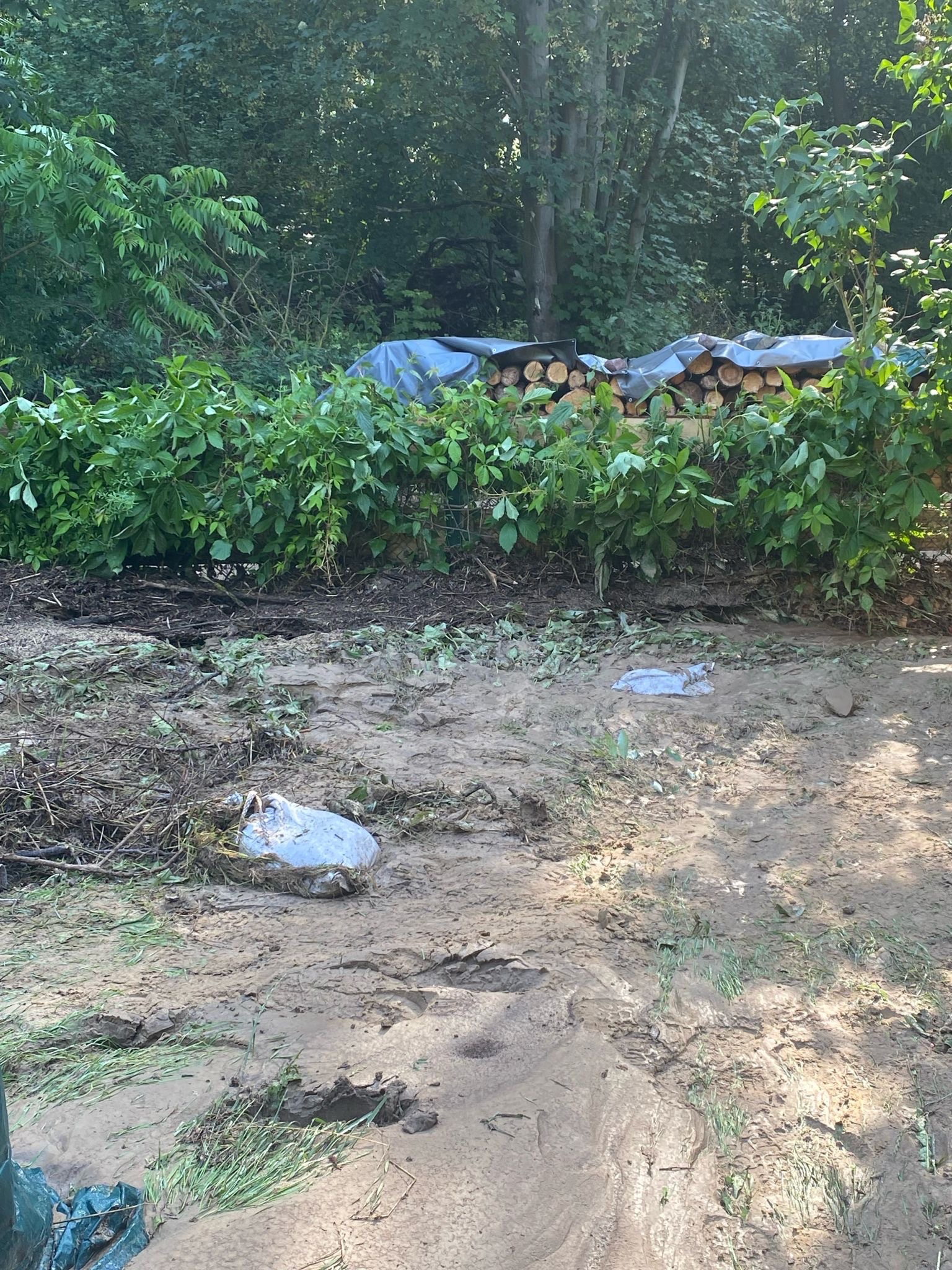 Fundraiser by Luise Metelka : Hilfe für meine Mutter nach wiederholter ...