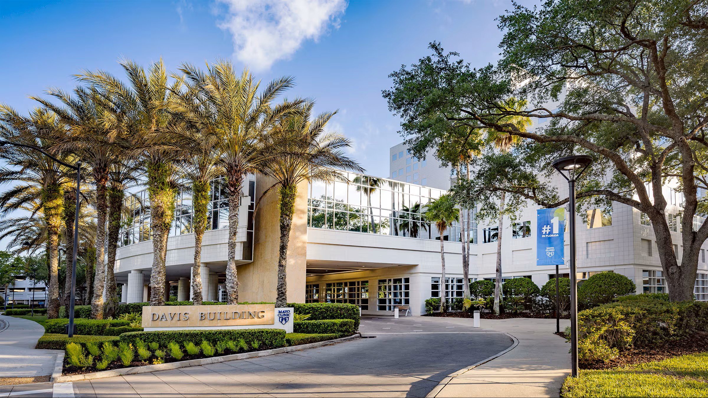 Fundraiser by Afrah Mohasin : Answers & Hope: My Journey to the Mayo Clinic