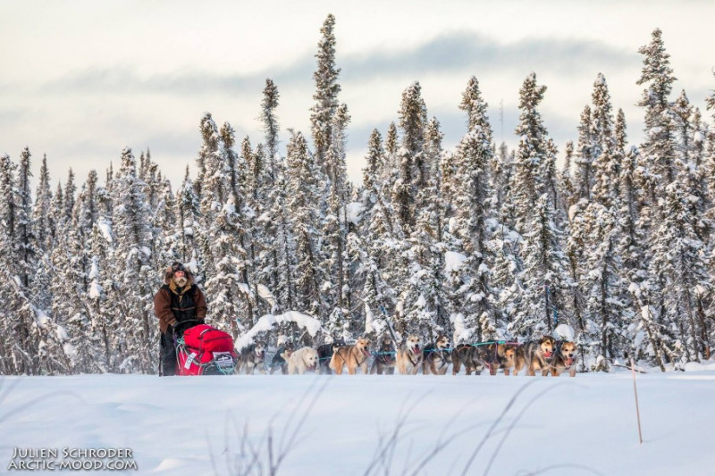 Fundraiser for Peter Reuter by Peter Reuter : Peter Reuter Iditarod Fund