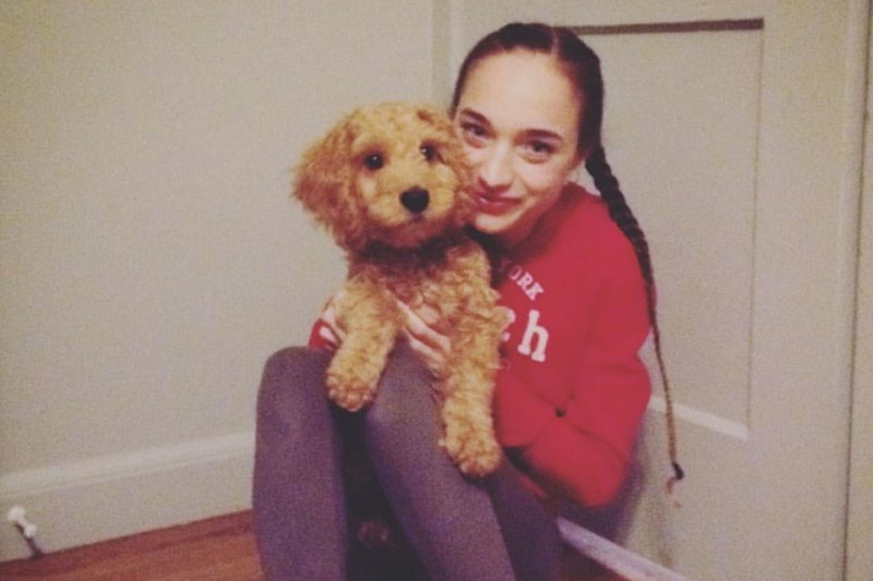 Fundraiser by Meg Brauman Sturm : Emily Boyle (Sturm) - Medical Costs