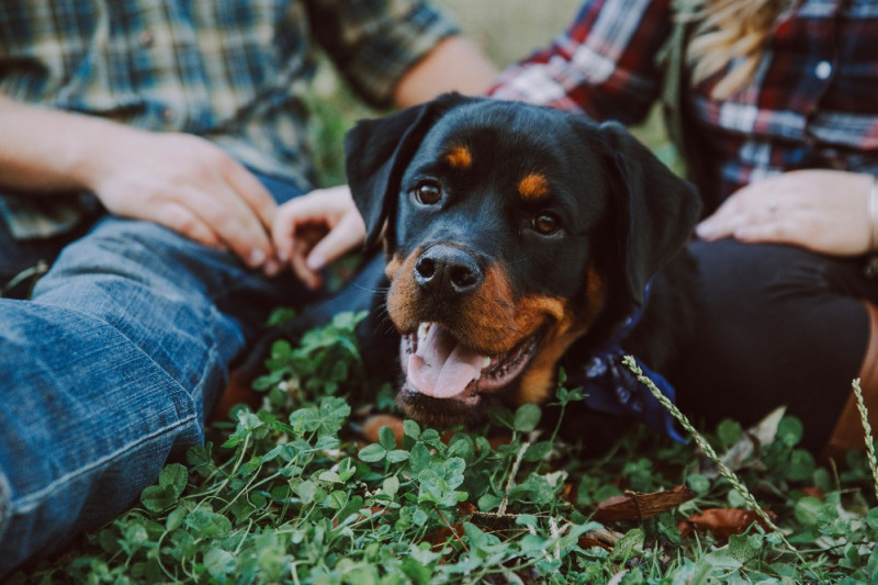 Fundraiser by Bridgette Forkin : Ruger James: Path to a Full Life