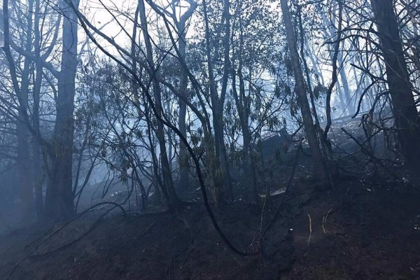 Fundraiser for TJ Goolsby by Heather Goolsby : The Goolsby Family