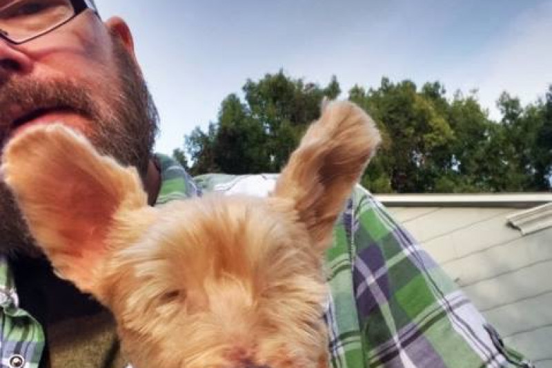 Fundraiser for Frank Palmer by Lisa Reedy : Frank and Bill need a home