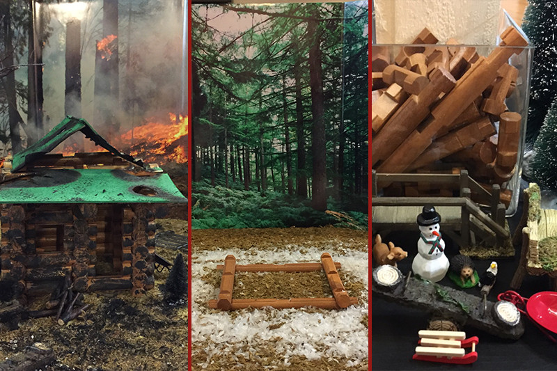 Fundraiser for Steve Kissing by Wordsworth Communications : Fake Cabin ...