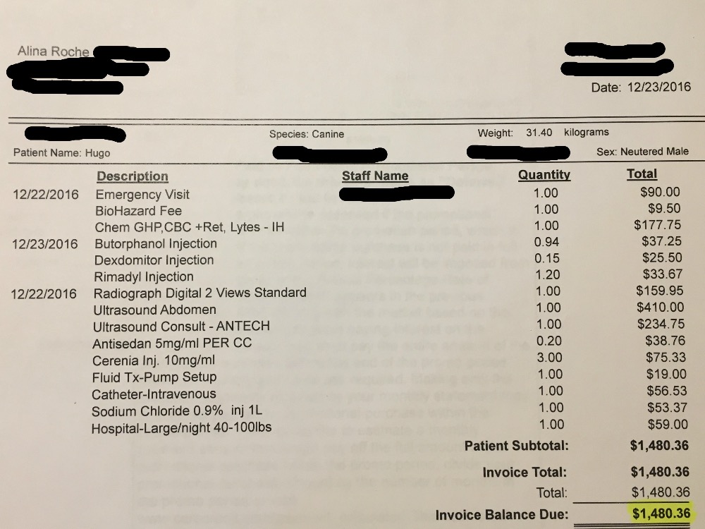 Fundraiser by alina roche : Hugo's Cancer Treatment