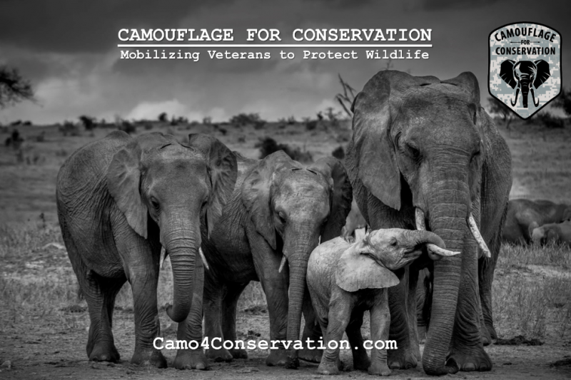 Fundraiser by Eric Fies : Camouflage For Conservation